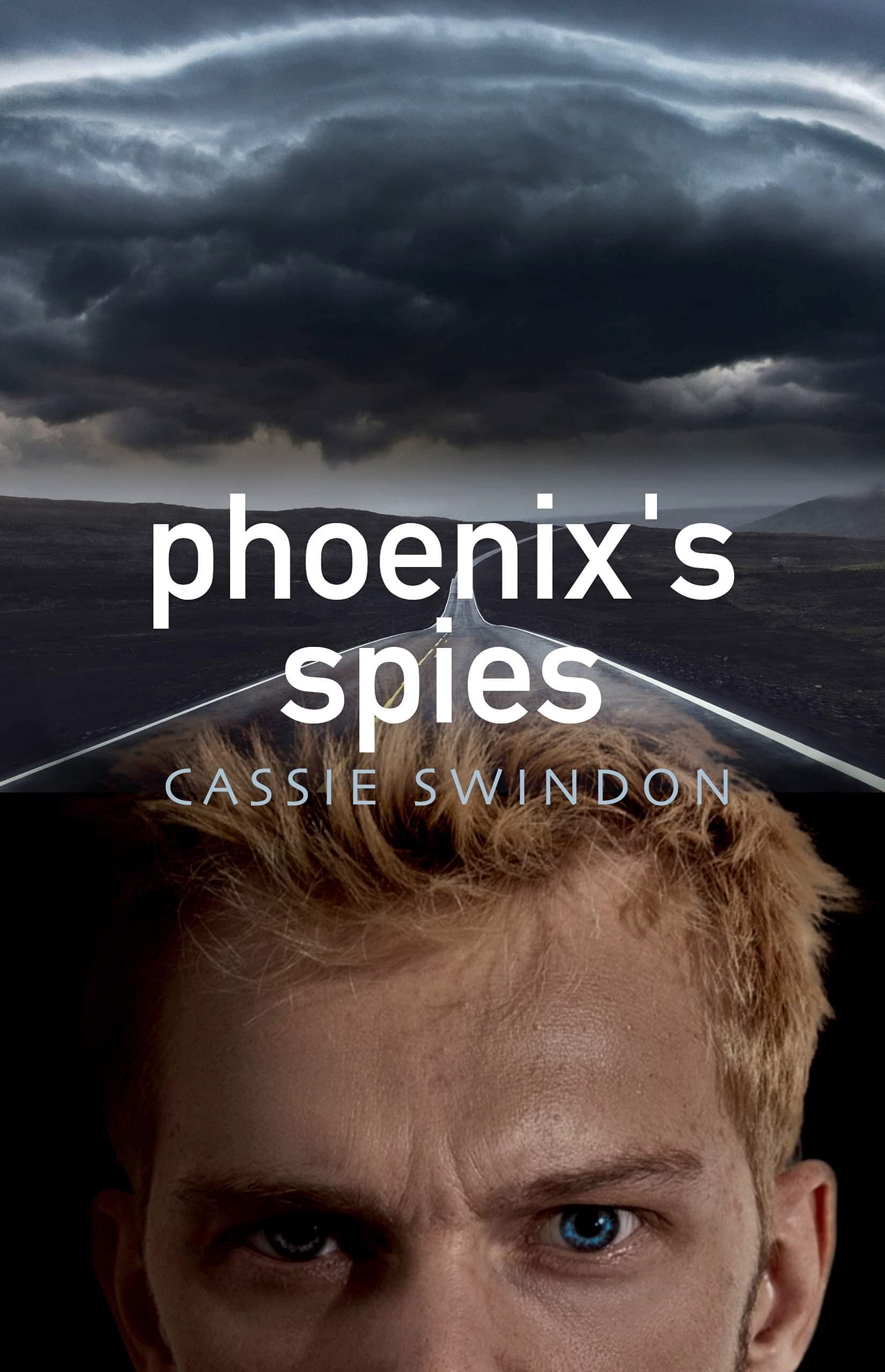 Phoenix's Spies: a short story (Golden Chains) by Cassie Swindon ...