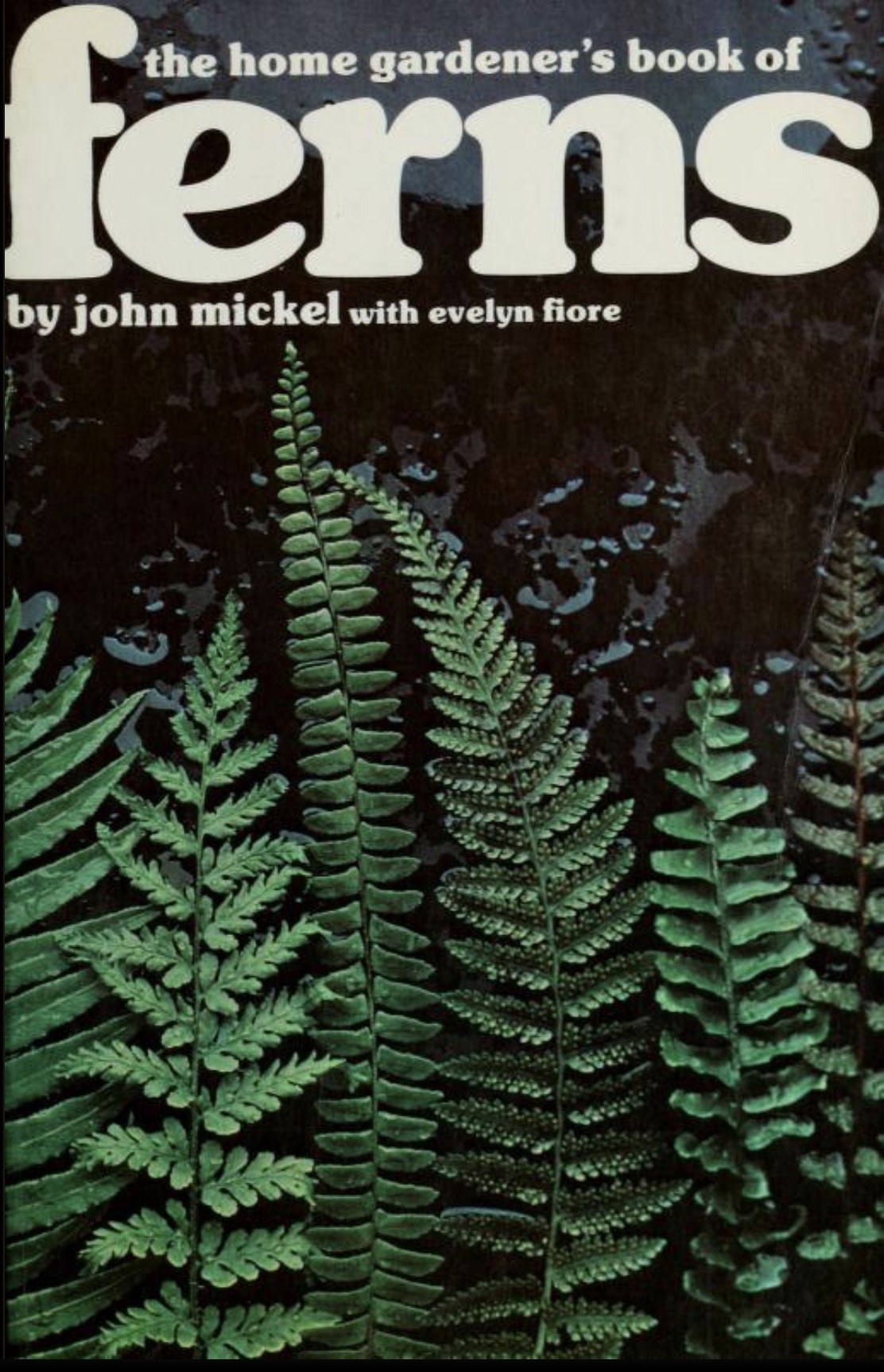 The home gardener's book of ferns by John Mickel | Goodreads