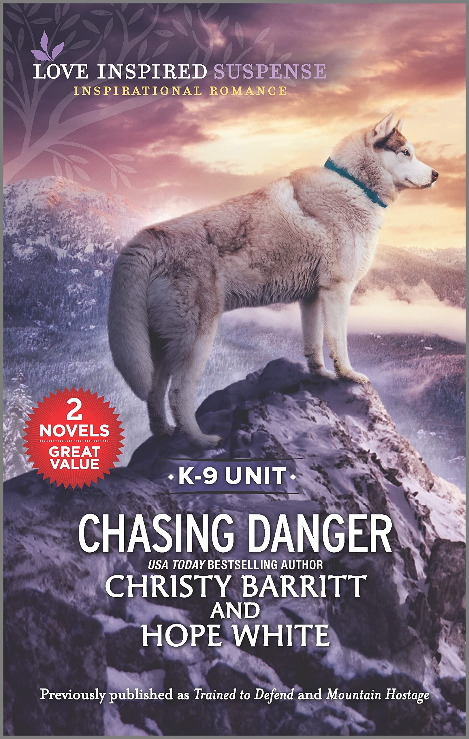 Chasing Danger (K-9 Unit) by Christy Barritt | Goodreads