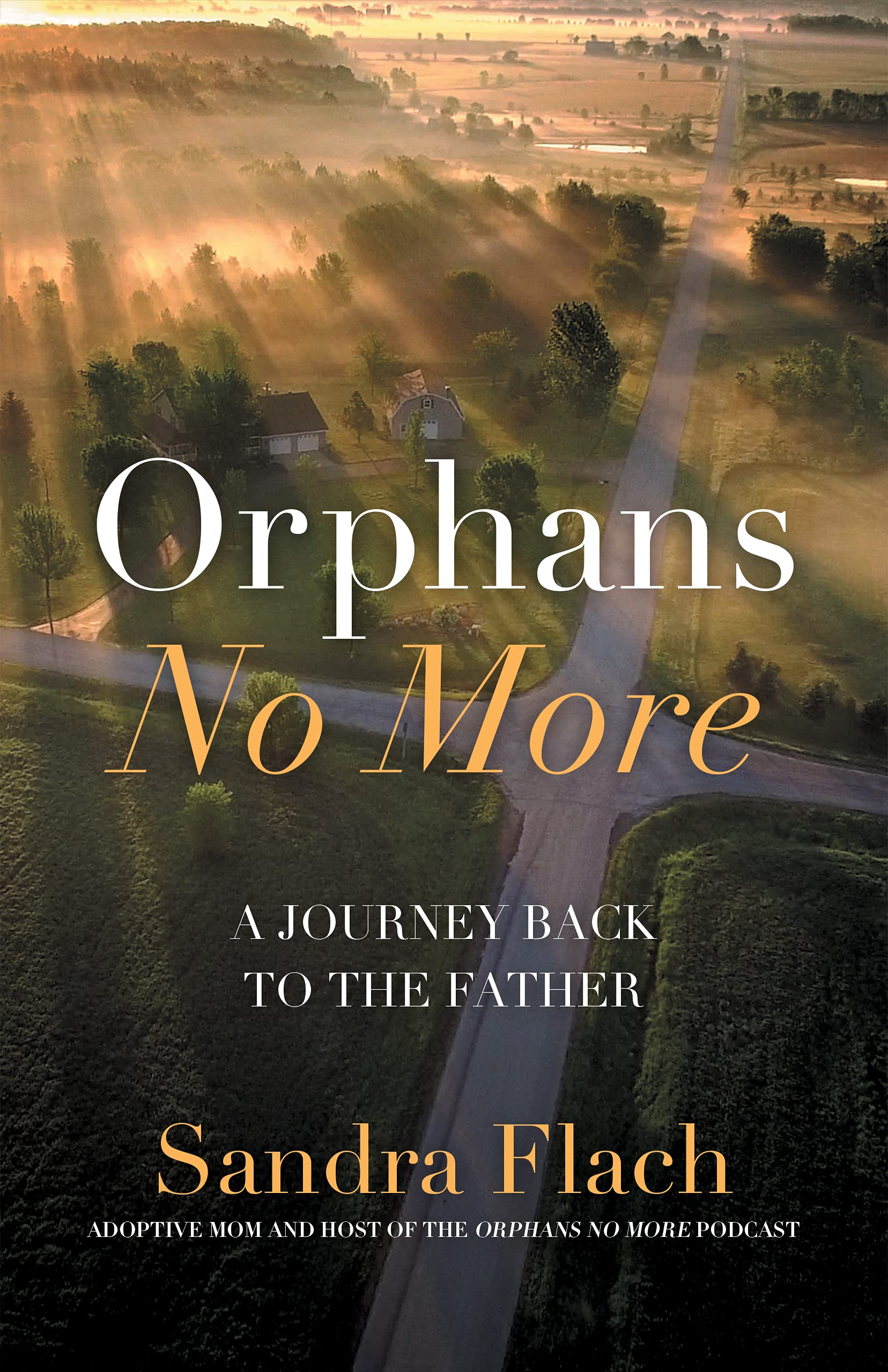 Orphans No More: A Journey Back to the Father by Sandra Flach | Goodreads