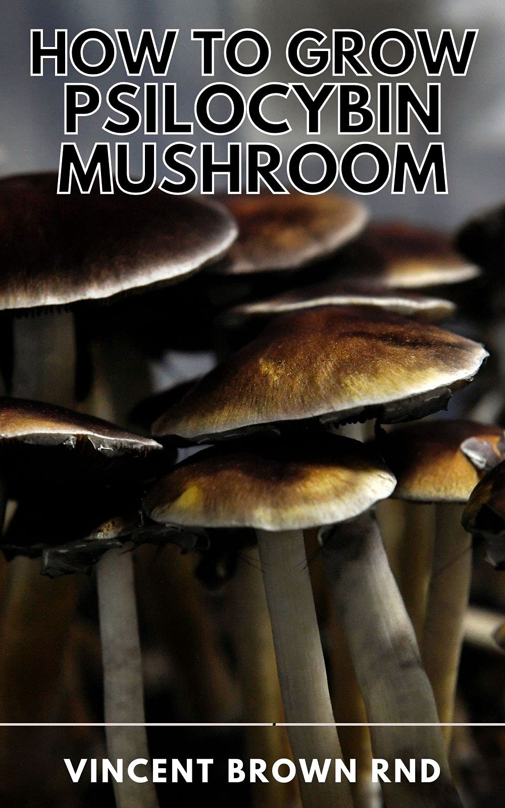HOW TO GROW PSILOCYBIN MUSHROOM: The Ultimate Step By Step Guide to Cultivation and Safe Use of ...