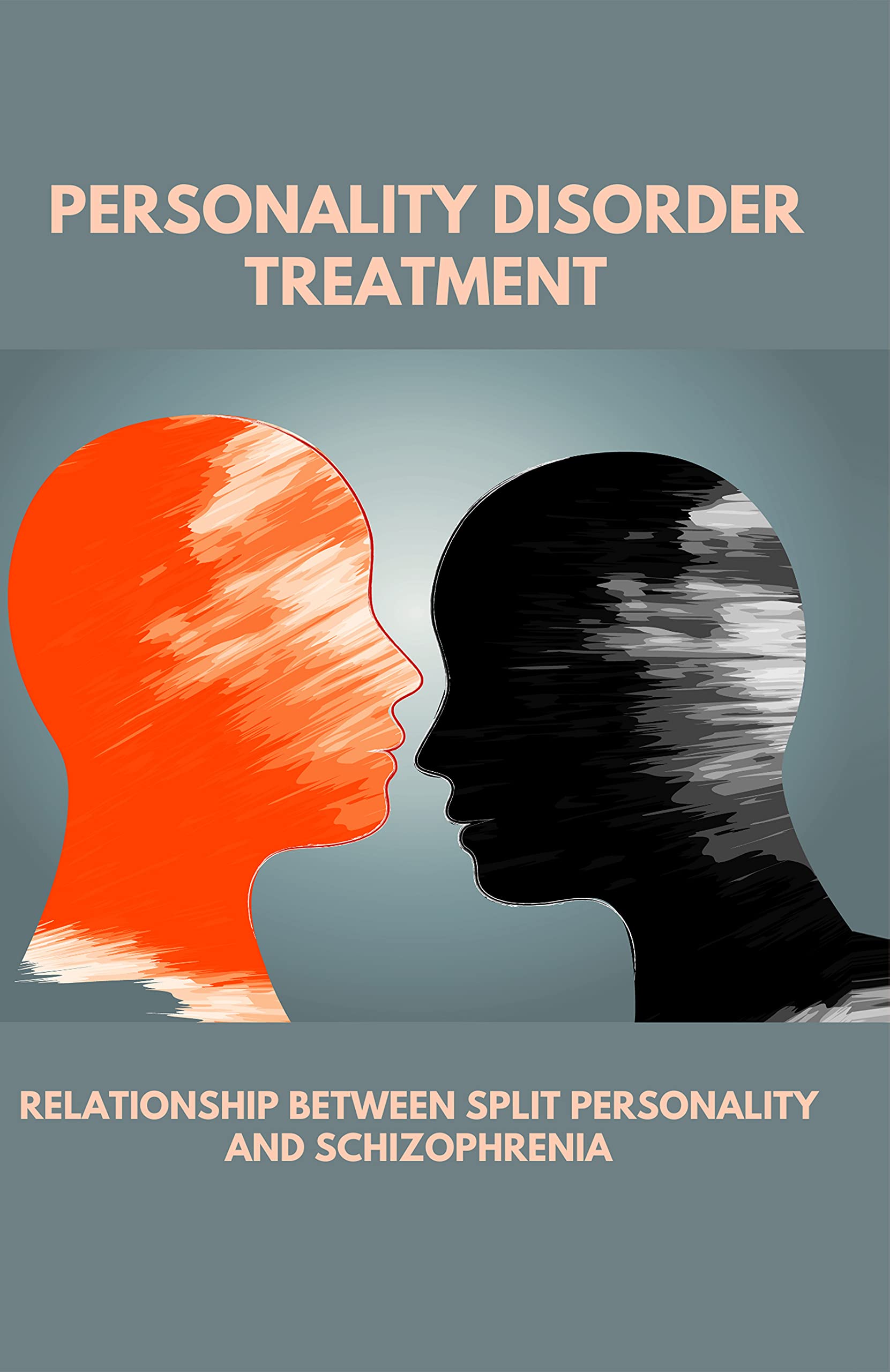 Personality Disorder Treatment: Relationship Between Split Personality ...