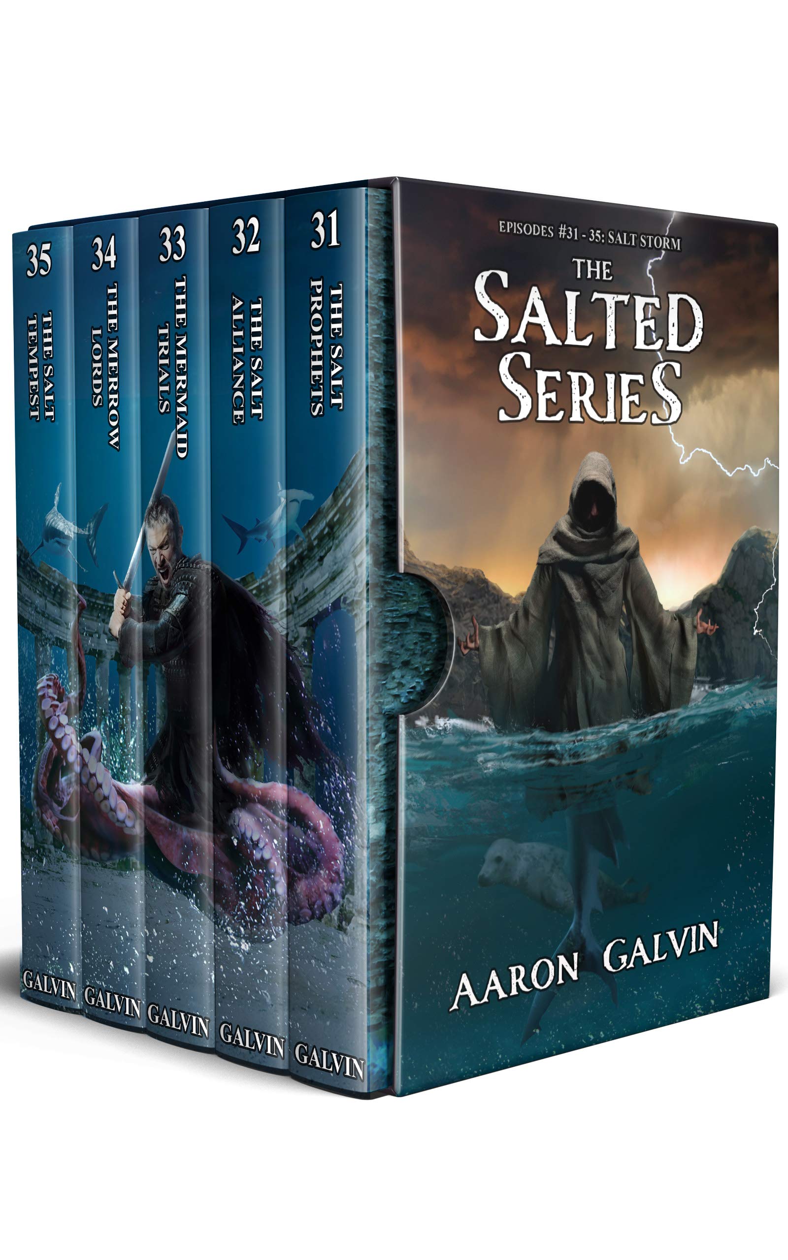 Salt Storm (The Salted #31-35) by Aaron Galvin | Goodreads