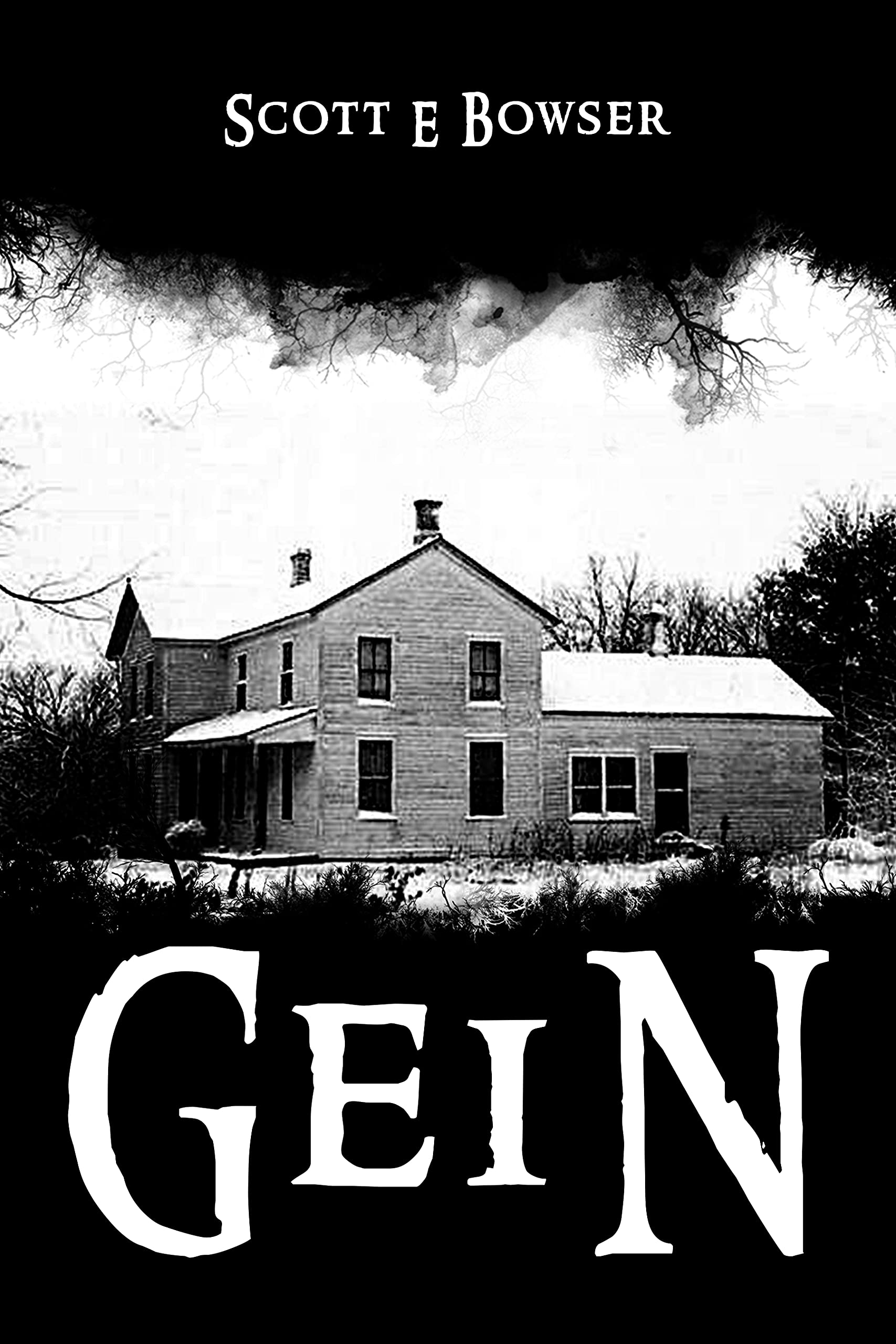 GEIN by Scott Bowser | Goodreads