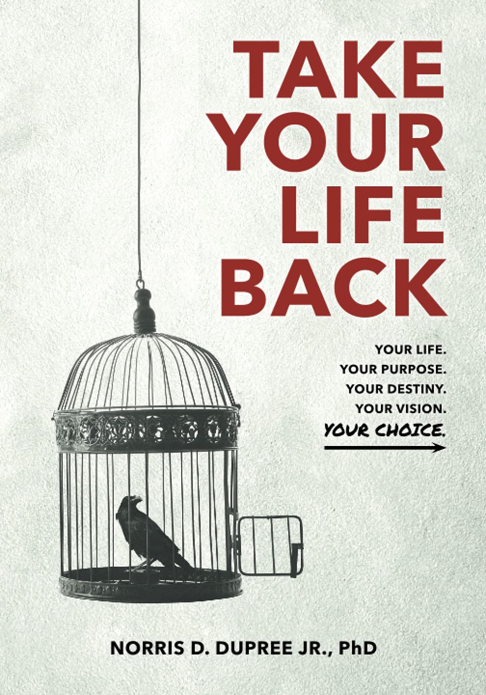 Take Your Life Back: Your Life. Your Purpose. Your Destiny. Your Vision ...