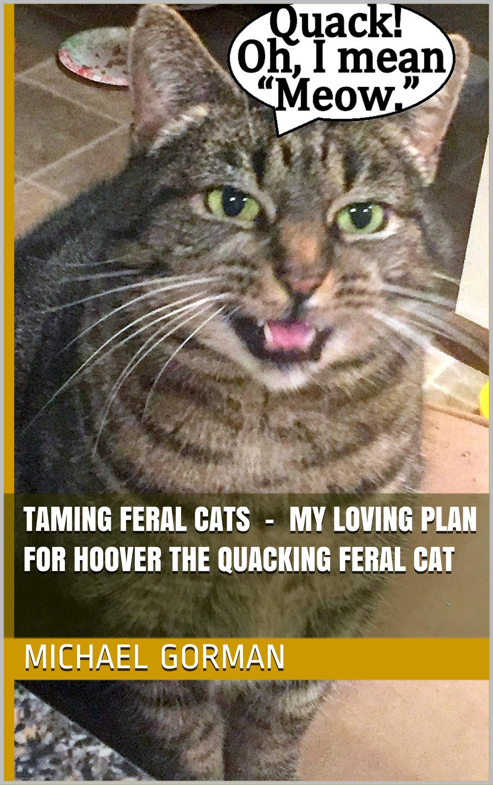 Taming Feral Cats - My Loving Plan for Hoover the Quacking Feral Cat by ...