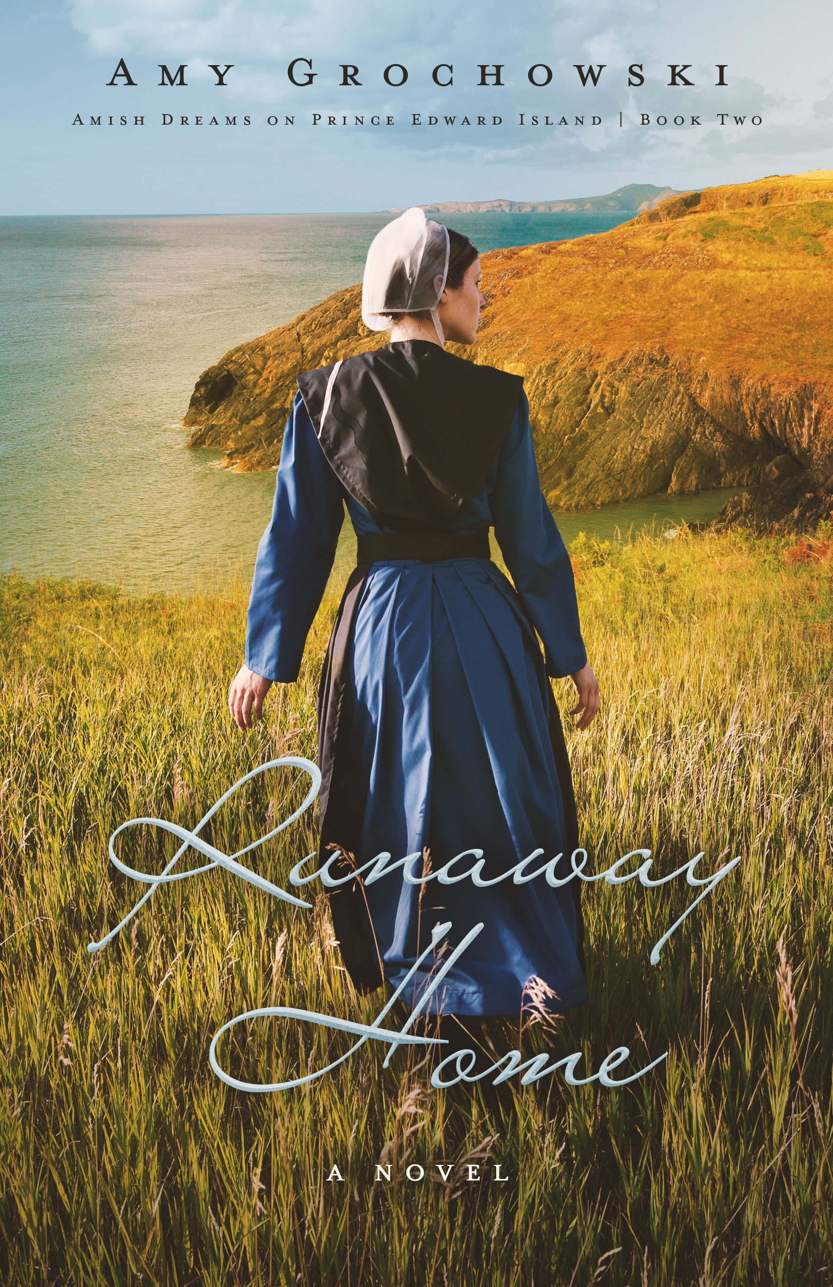 Runaway Home by Amy Grochowski | Goodreads