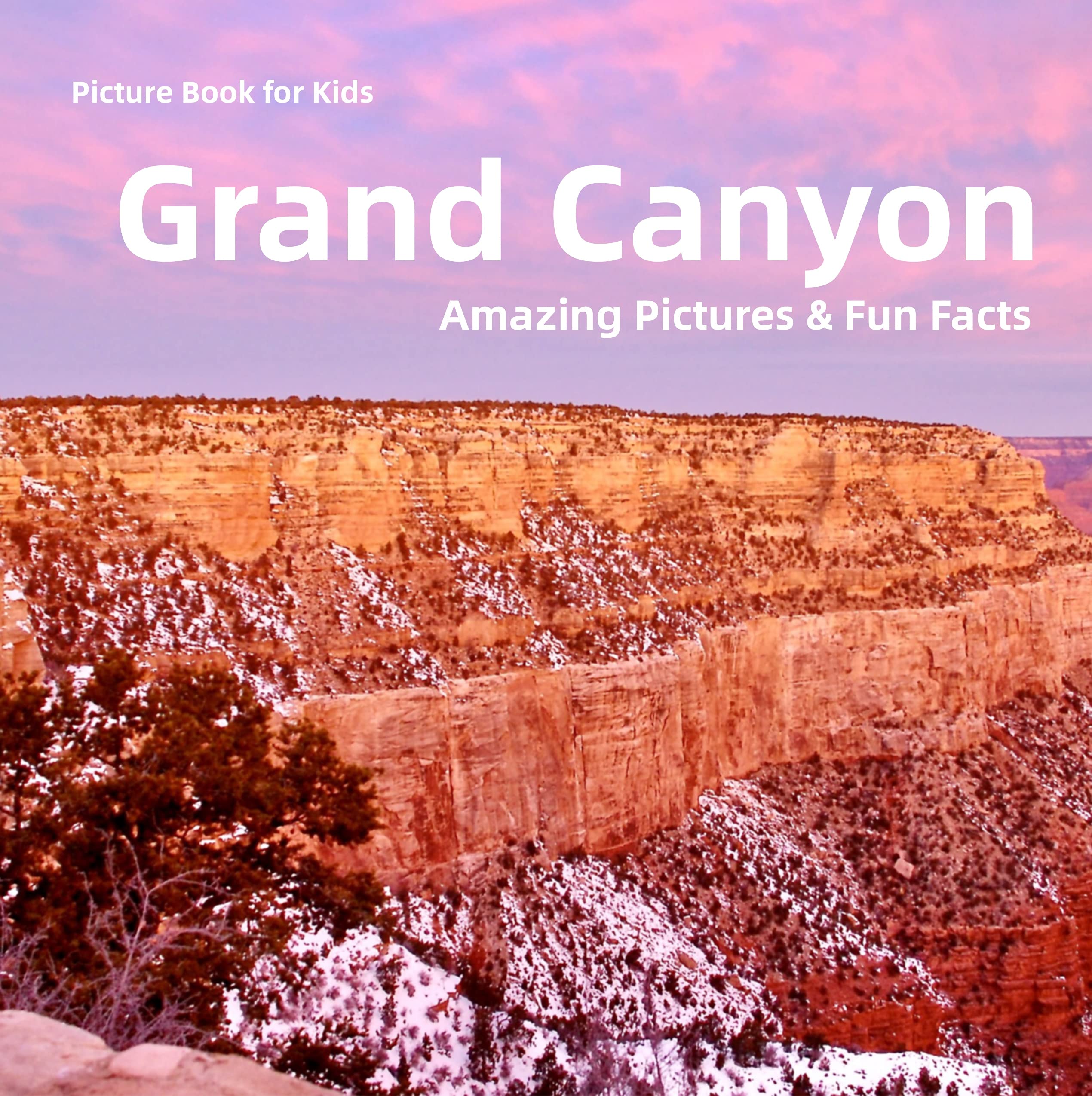 Picture Book for Kids: Grand Canyon: Amazing Pictures & Fun Facts by ...