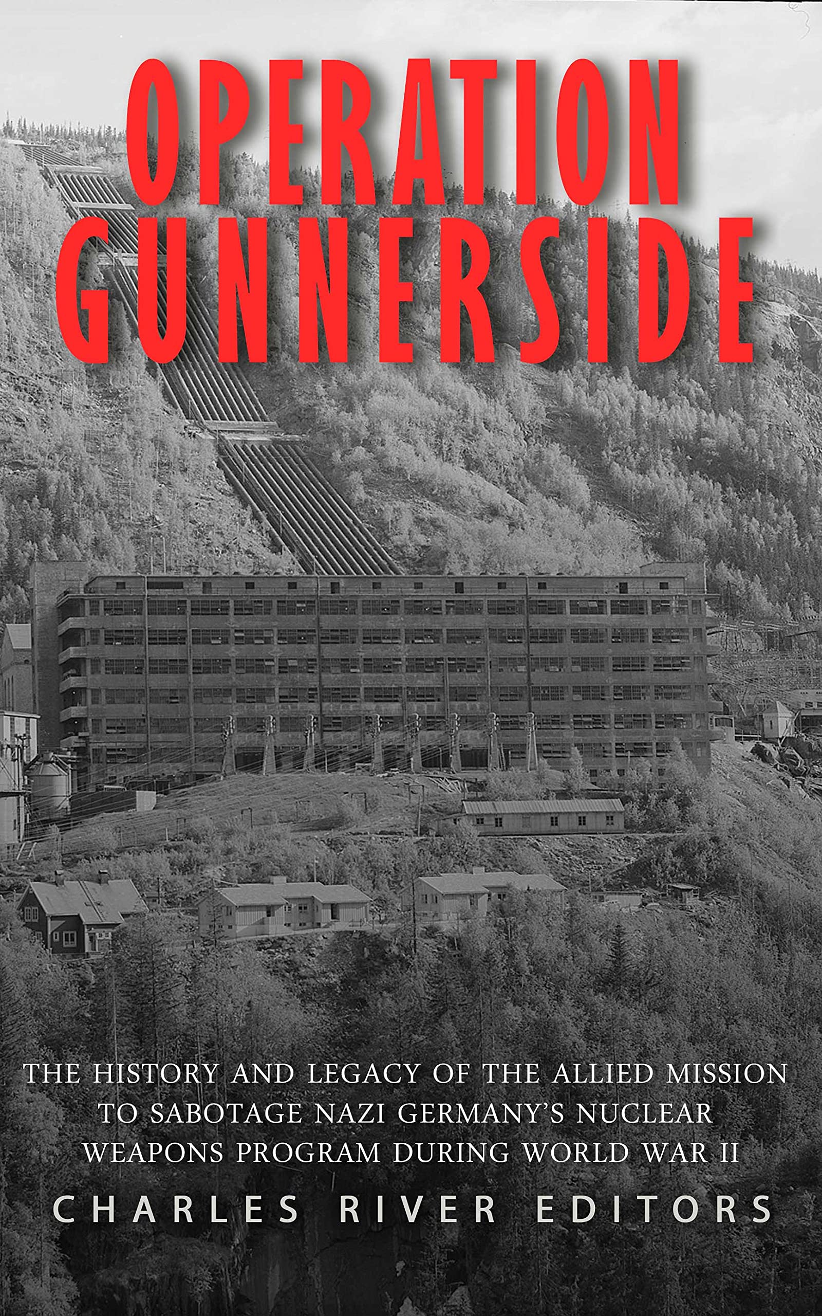 Operation Gunnerside: The History and Legacy of the Allied Mission to ...