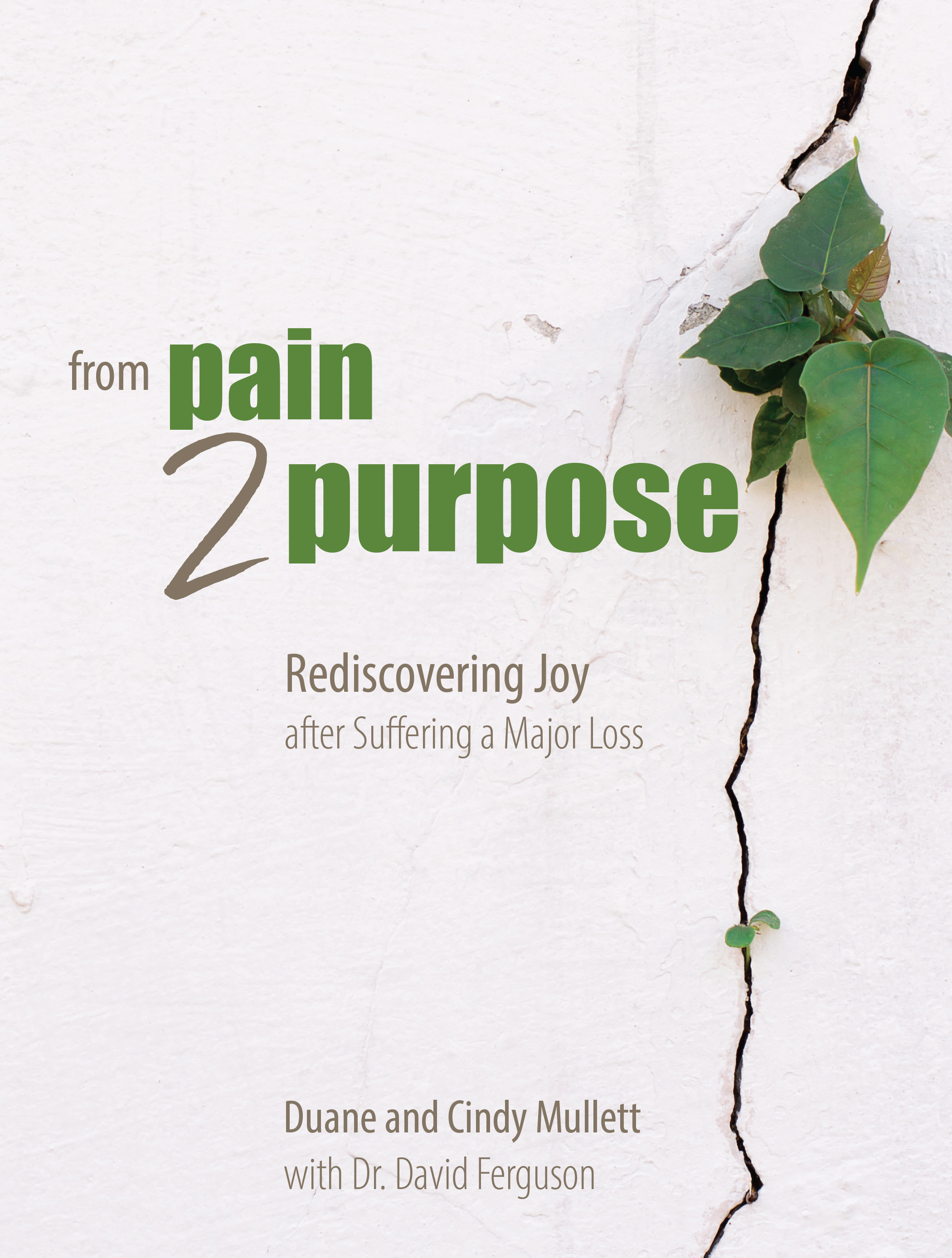 From Pain 2 Purpose: Rediscovering Joy after Suffering a Major Loss by ...