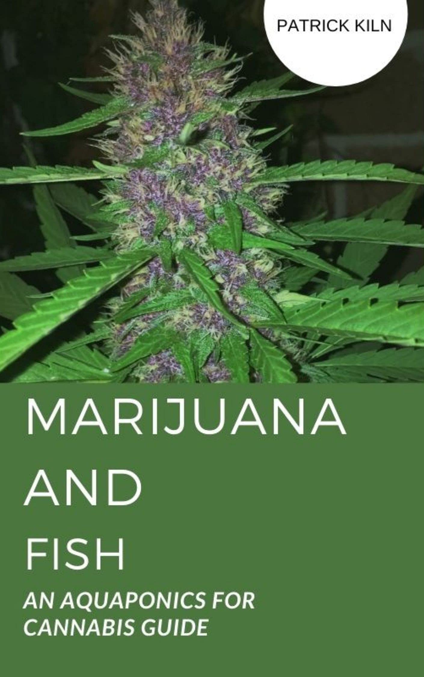 MARIJUANA AND FISH: An Aquaponics for Cannabis Guide by PATRICK KILN ...