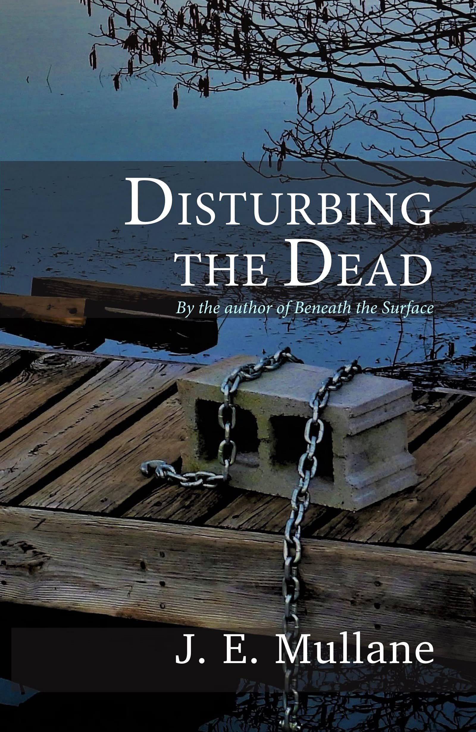 Disturbing the Dead by J.E. Mullane | Goodreads