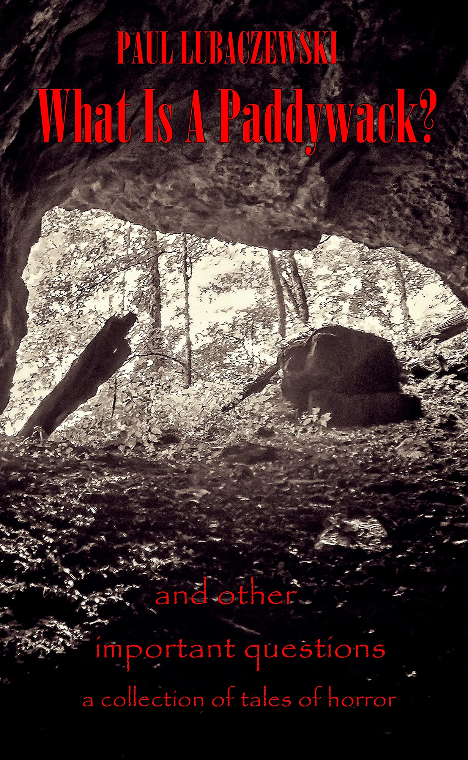 What is a Paddywack?: and other important questions by Paul Lubaczewski ...