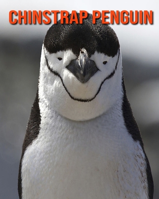 Chinstrap Penguin Facts