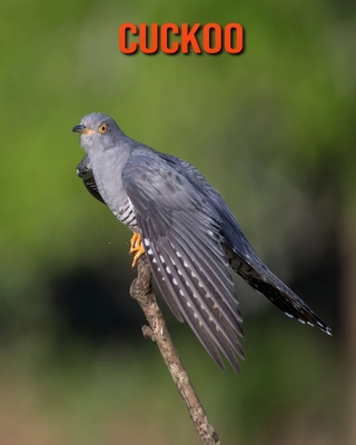 Cuckoo: Beautiful Pictures & Interesting Facts Children Book About ...