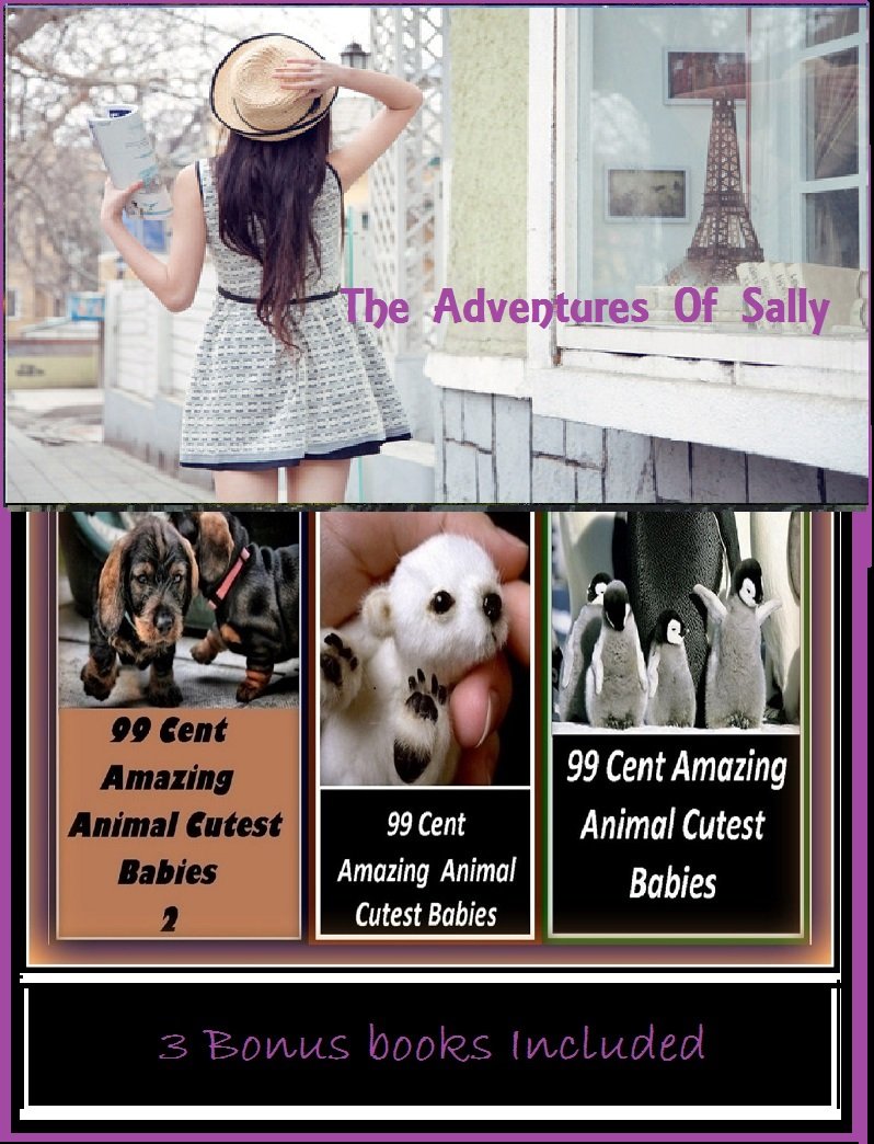 The Adventures Of Sally Illustrated with Amazing Cloud Photography & 3 ...