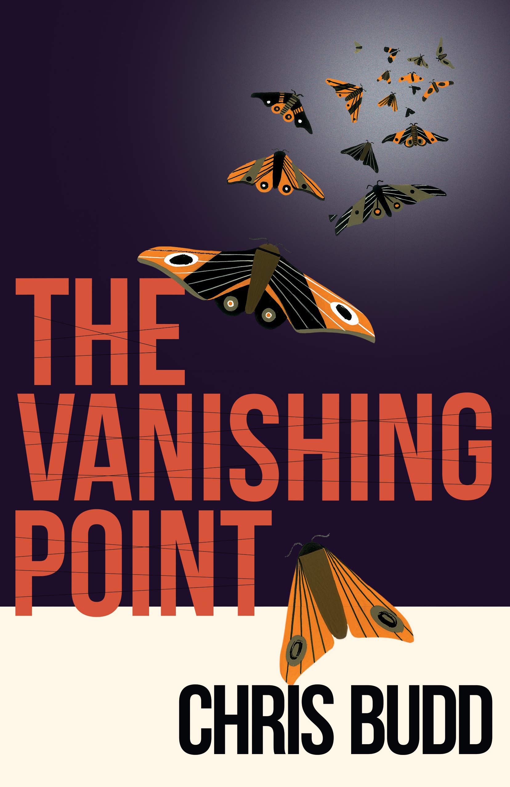 The Vanishing Point by Chris Budd | Goodreads