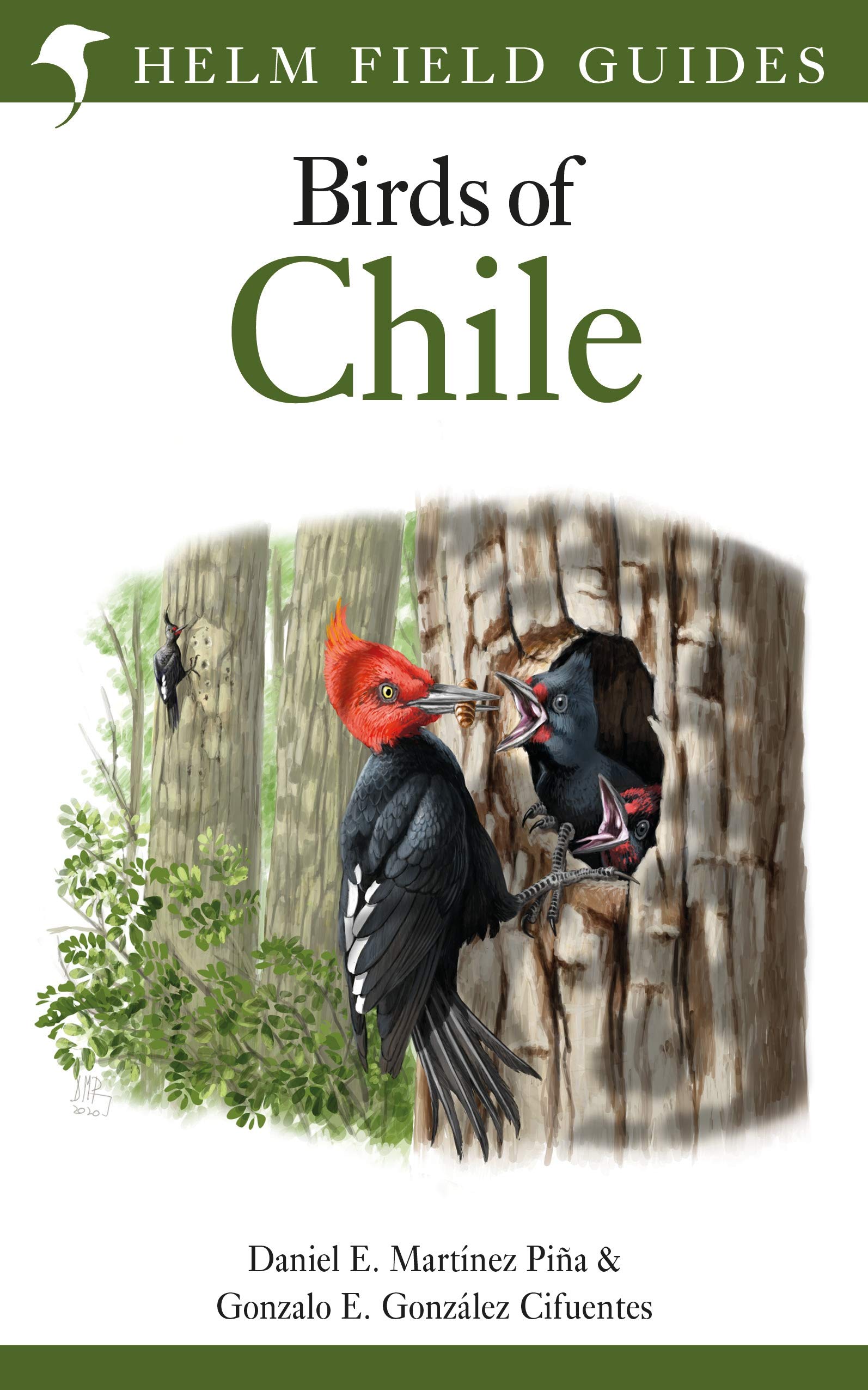 Field Guide to the Birds of Chile by Daniel Martínez Piña | Goodreads