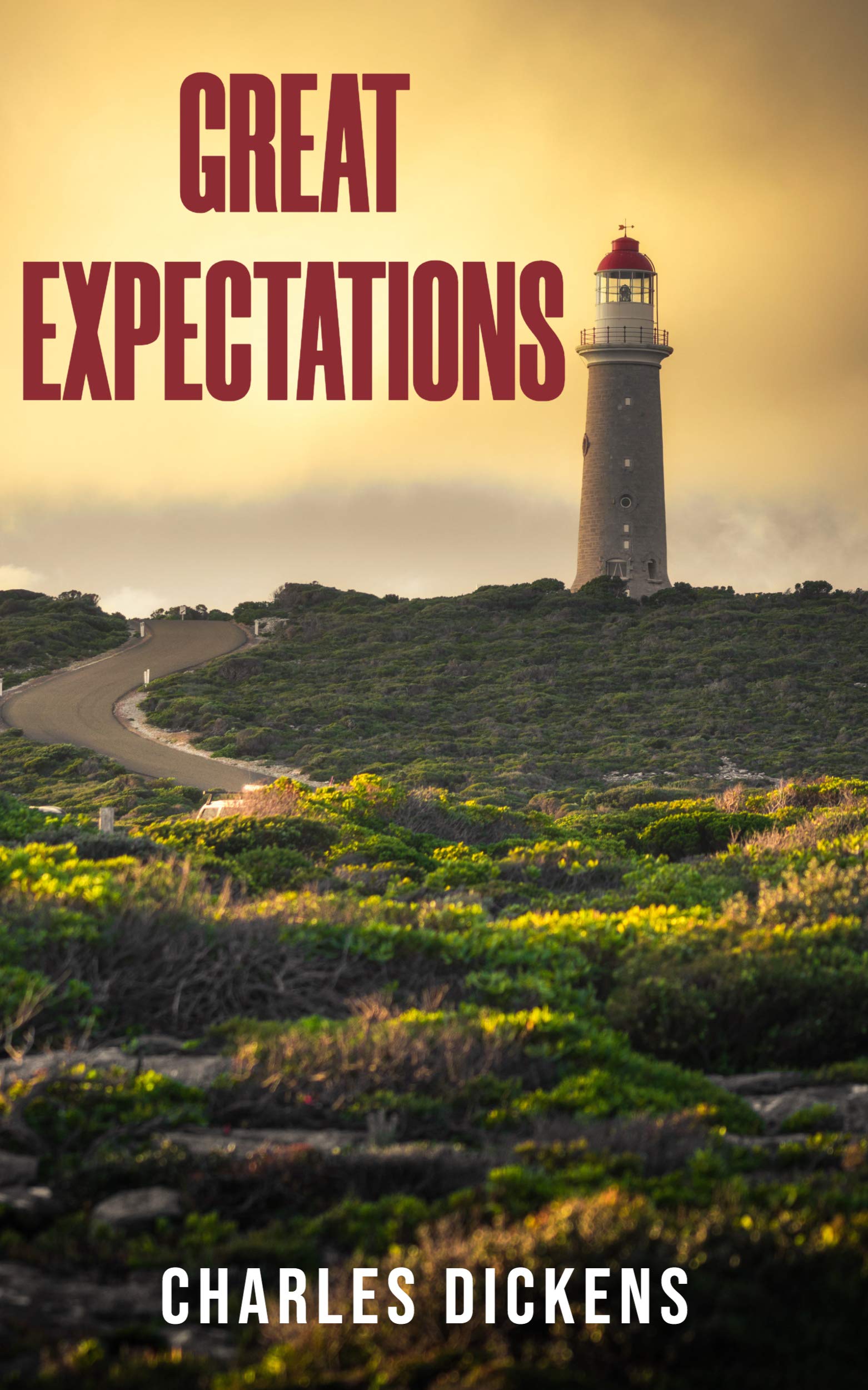 Great Expectations: The 100 greatest novels of all time by Charles ...