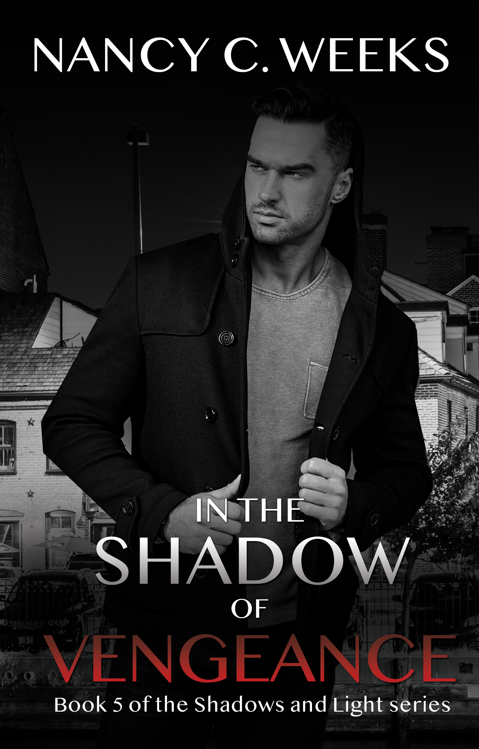 In the Shadow of Vengeance (Shadows and Light, #5) by Nancy C. Weeks ...