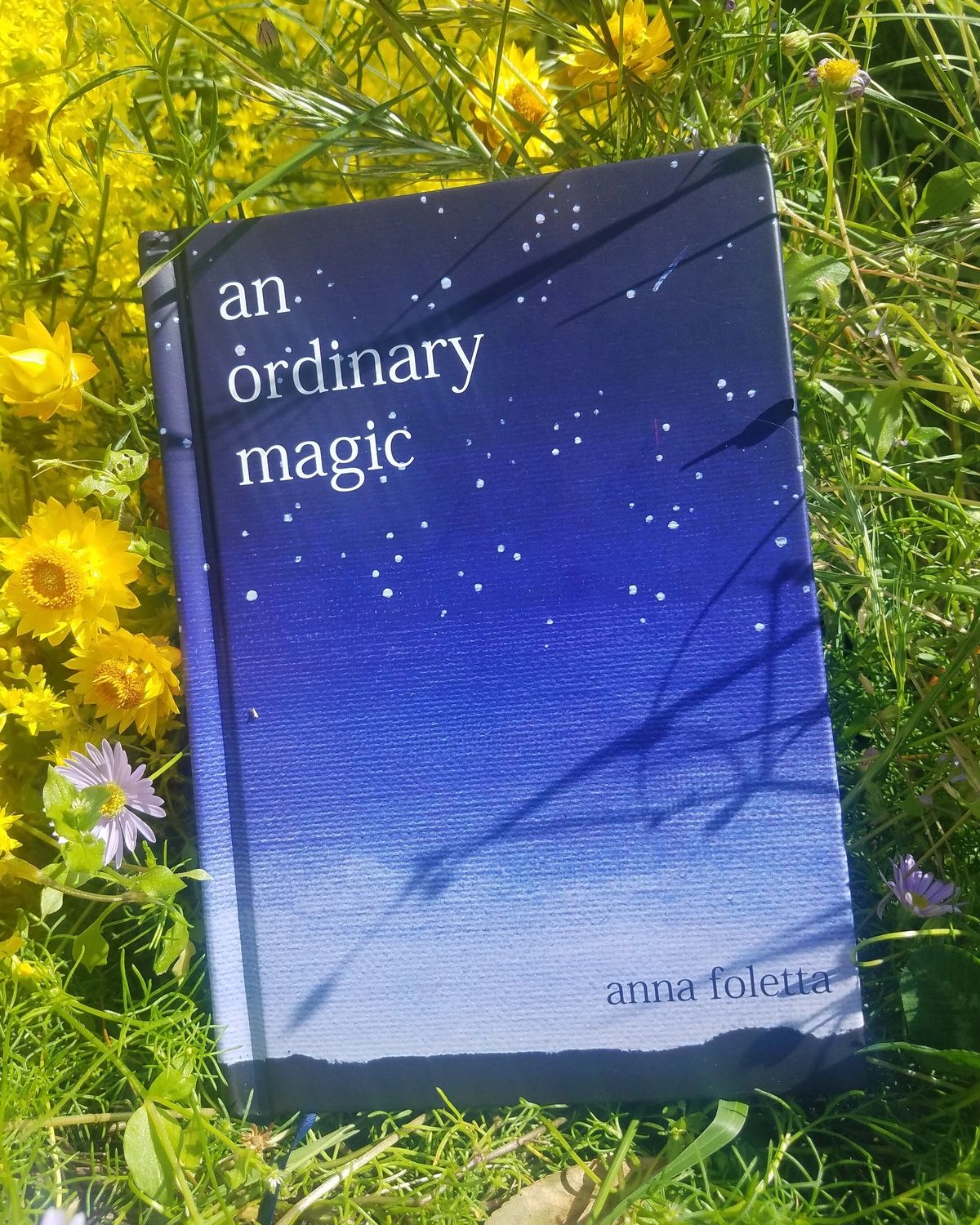 An Ordinary Magic by Anna Foletta | Goodreads