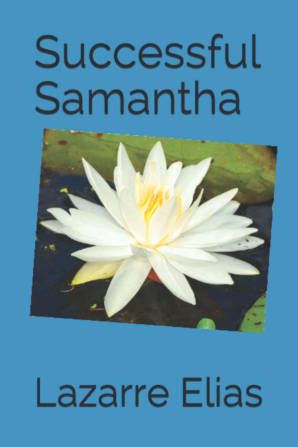 Successful Samantha (The Samantha Series) by Lazarre Elias | Goodreads