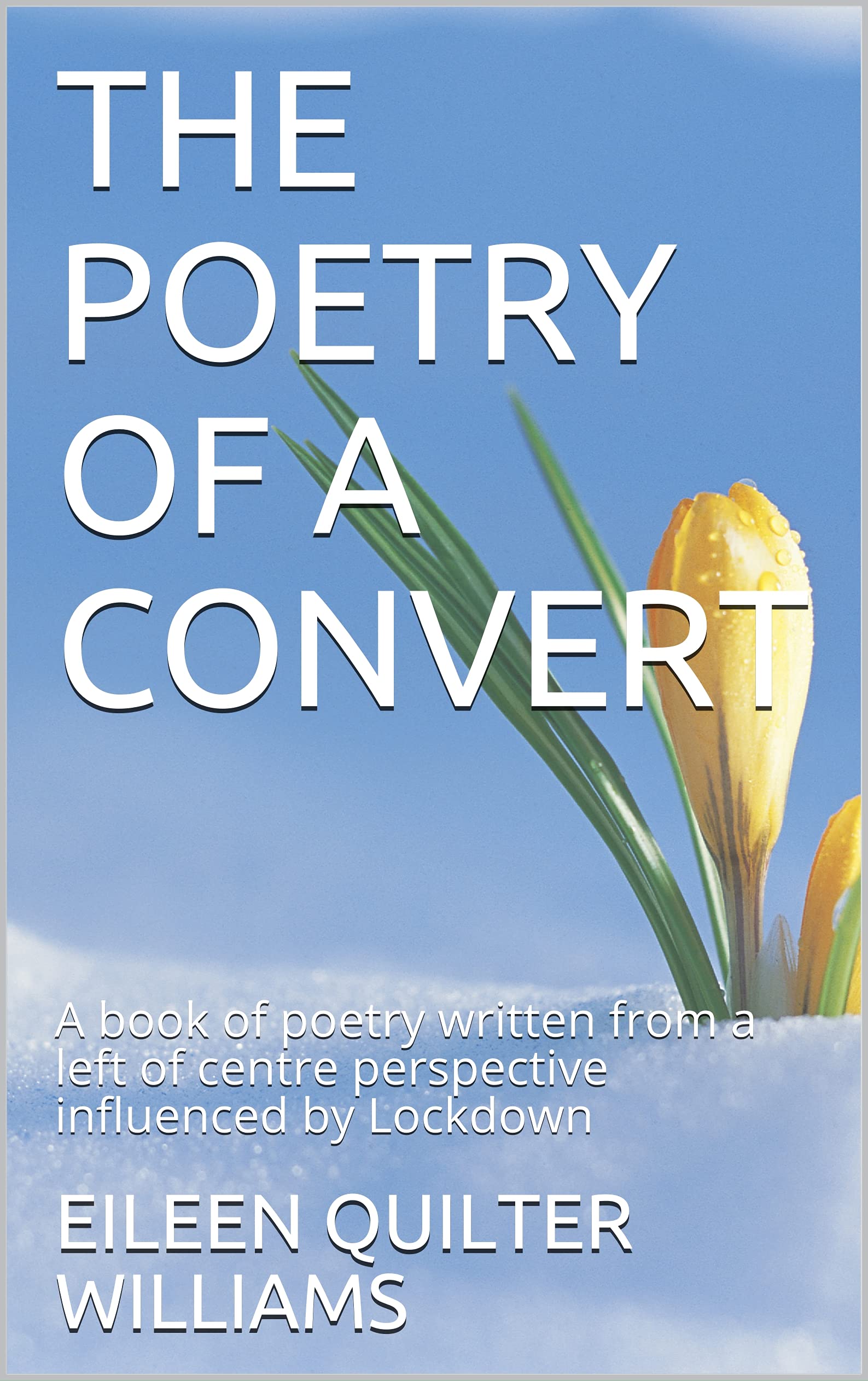 THE POETRY OF A CONVERT: A book of poetry written from a left of centre ...