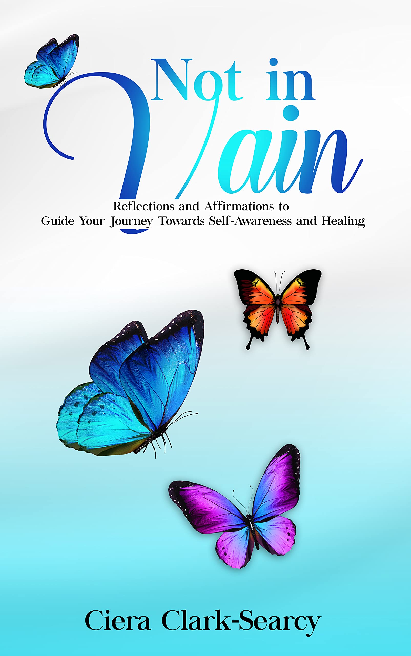 Not in Vain: Reflections and Affirmations to Guide Your Journey Toward ...