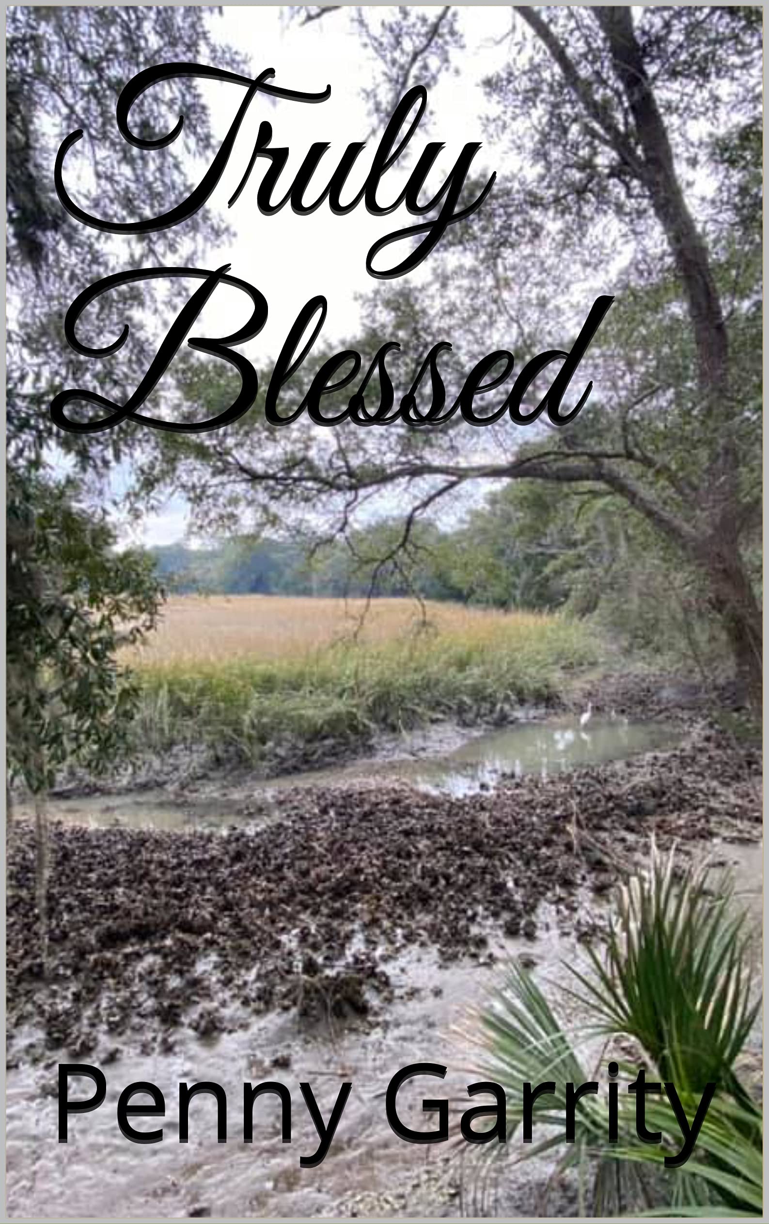 Truly Blessed by Penny Garrity | Goodreads