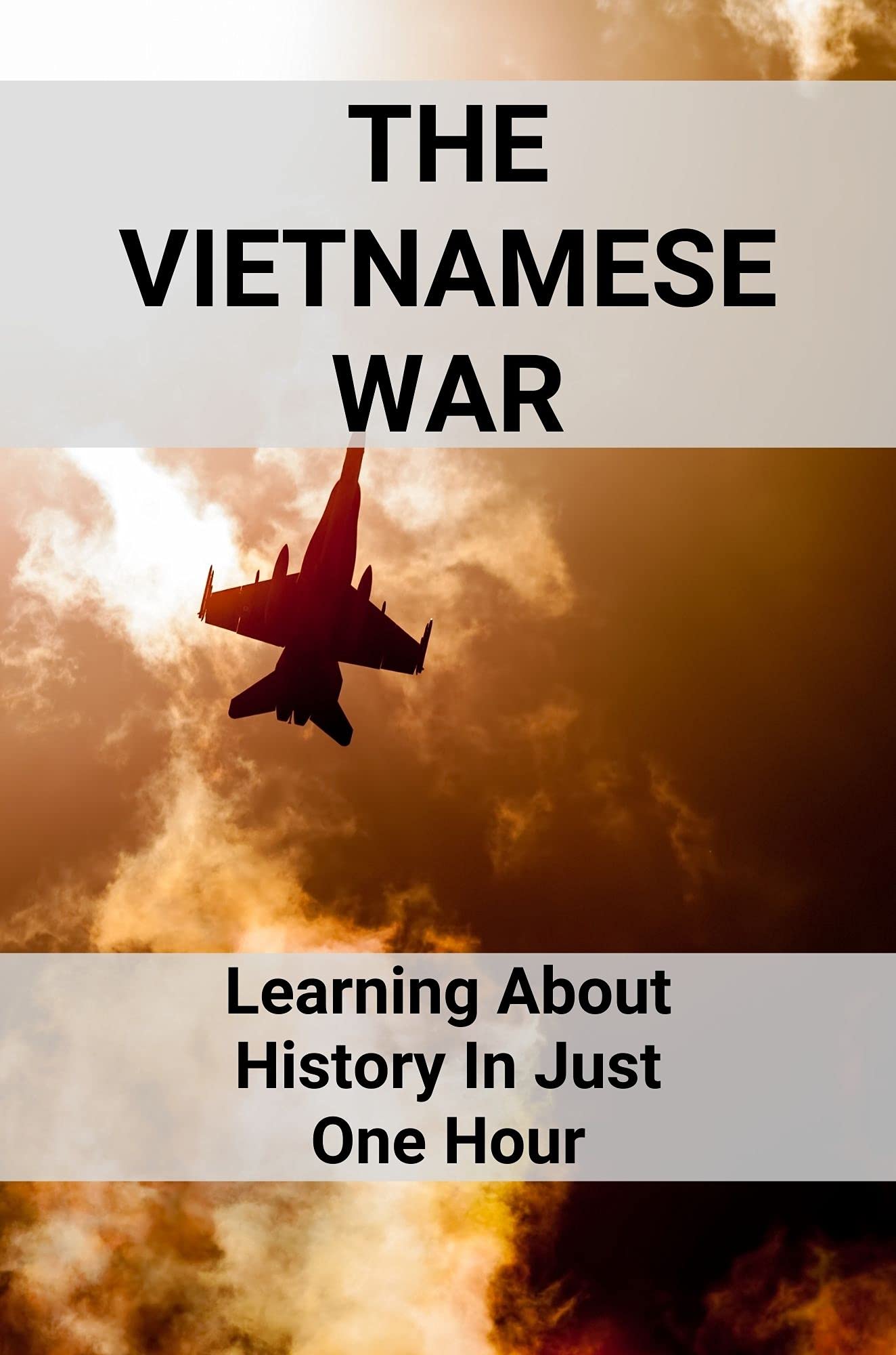 The Vietnamese War: Learning About History In Just One Hour: American ...