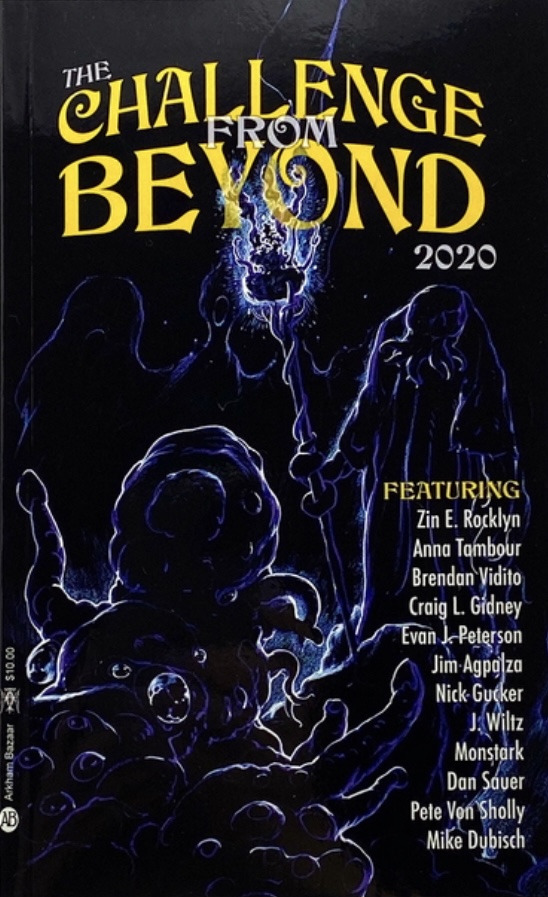 The Challenge From Beyond 2020 by Sarah Mott | Goodreads