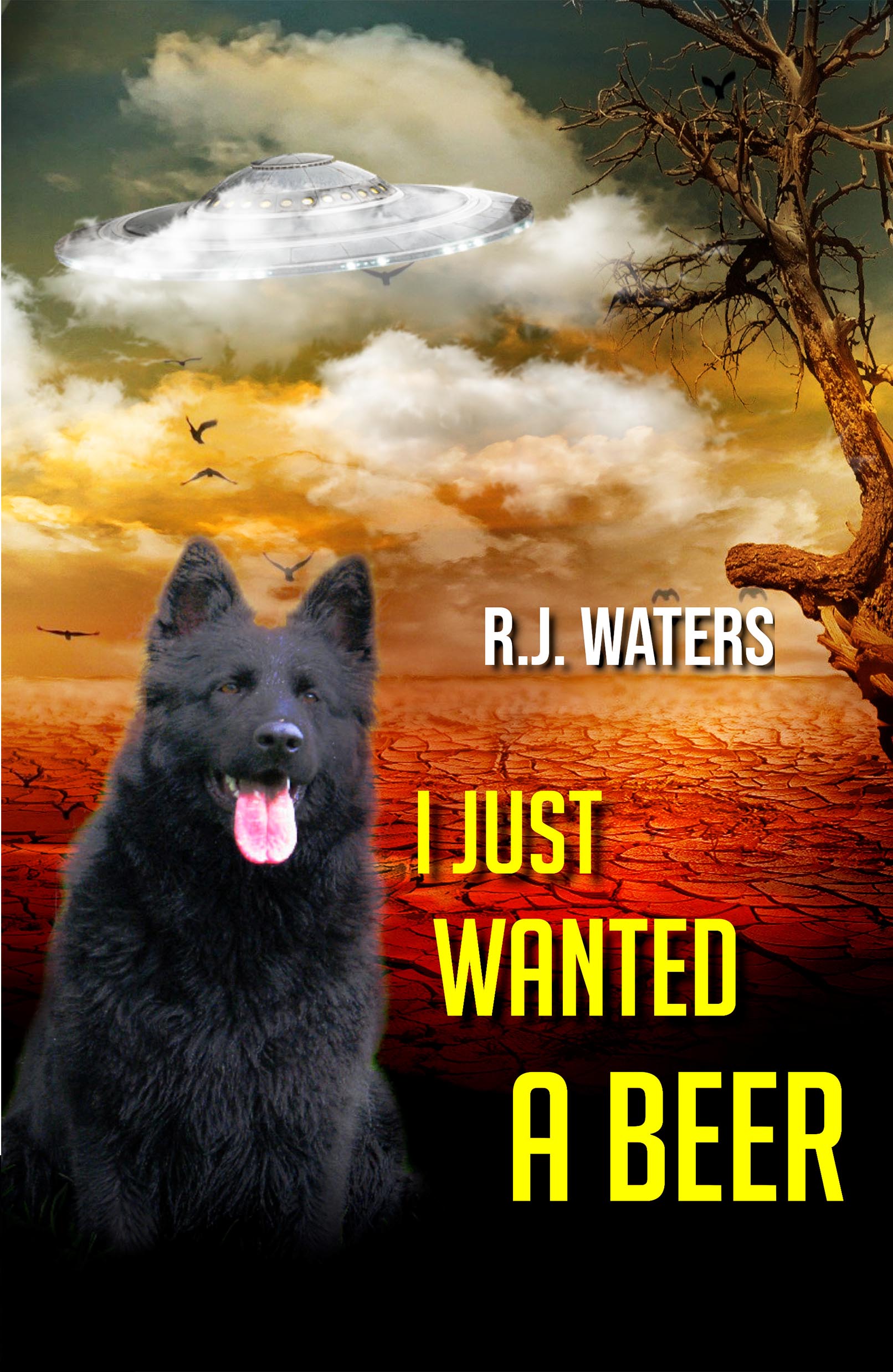 I Just Wanted A Beer by R.J. Waters | Goodreads