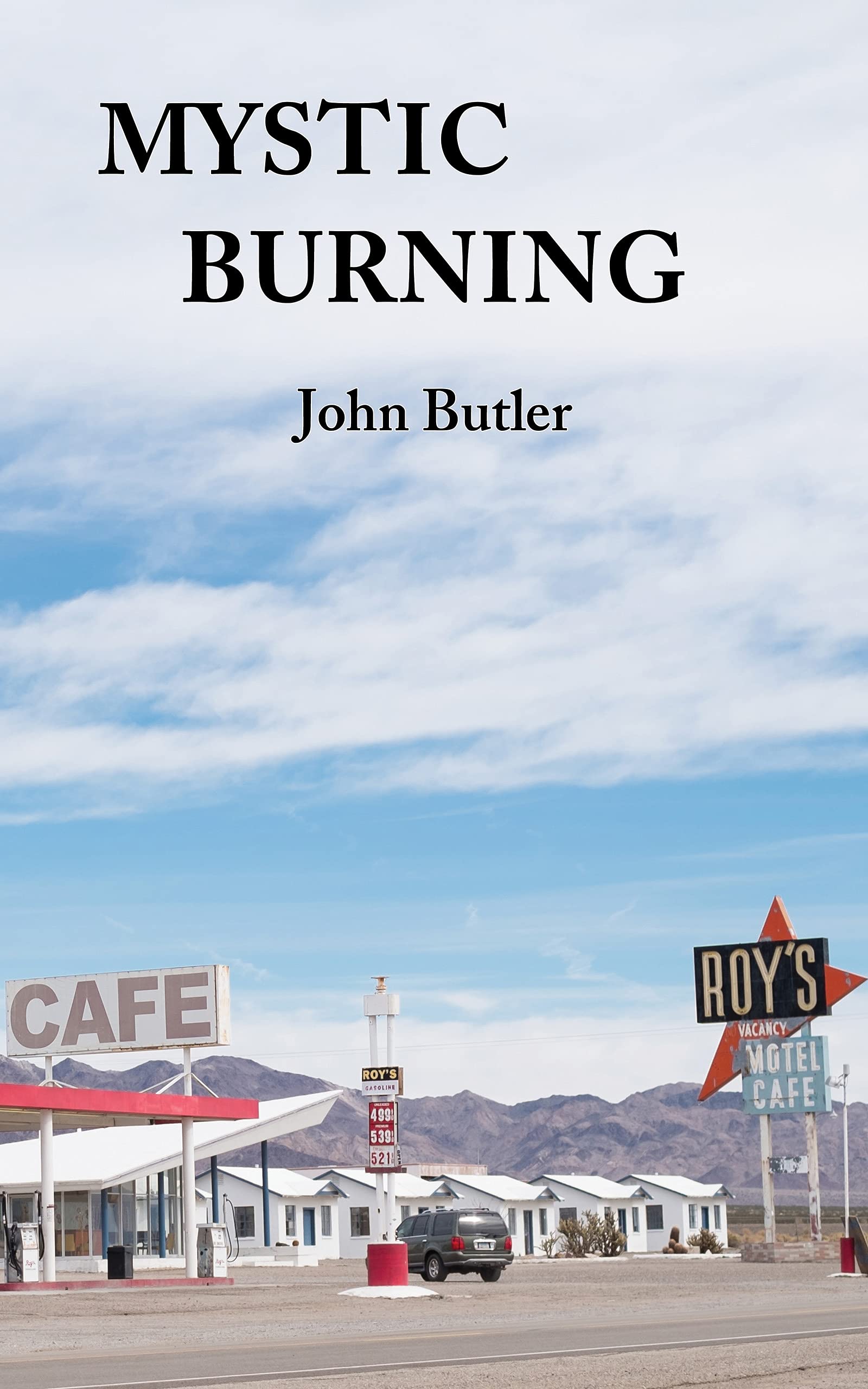 Mystic Burning: Salutary lessons in the USA by John Butler | Goodreads