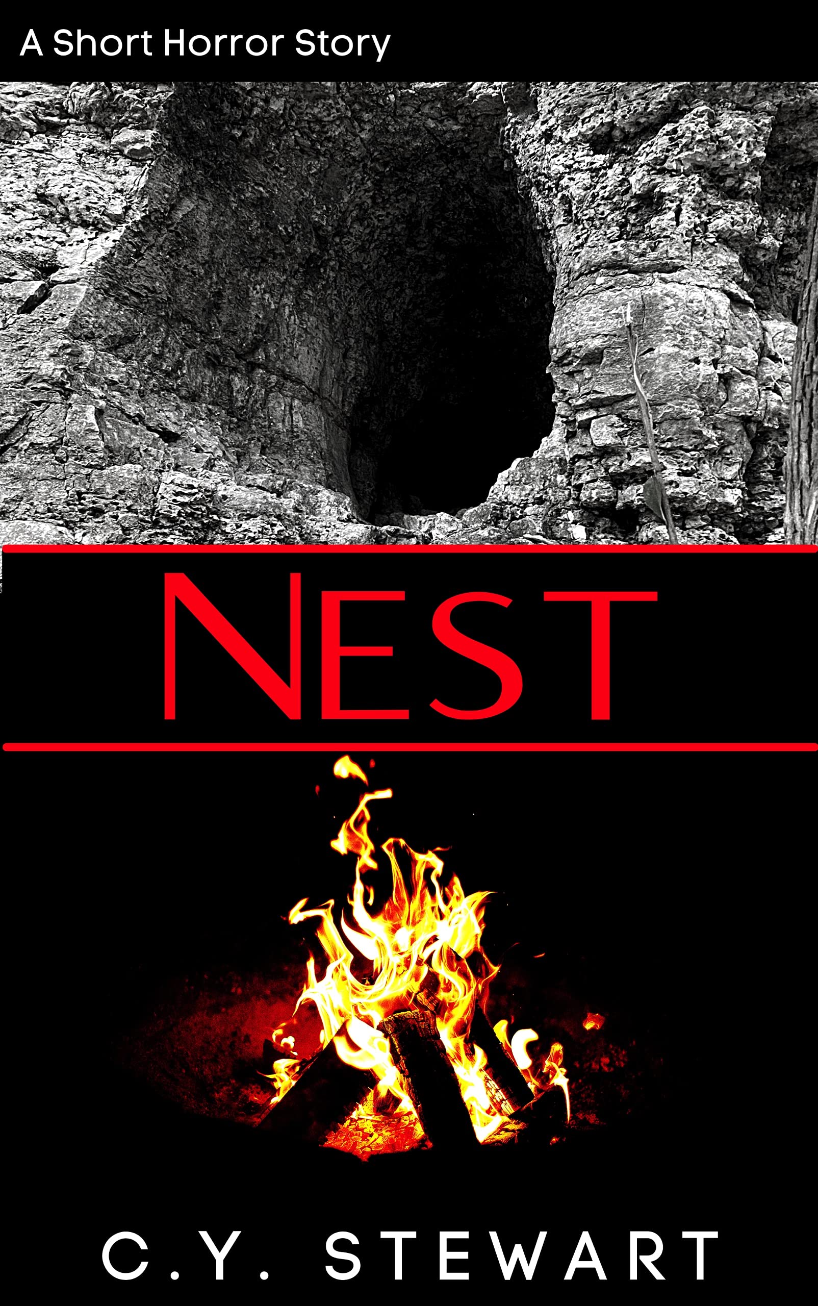 Nest: A Short Horror Story by C.Y. Stewart | Goodreads