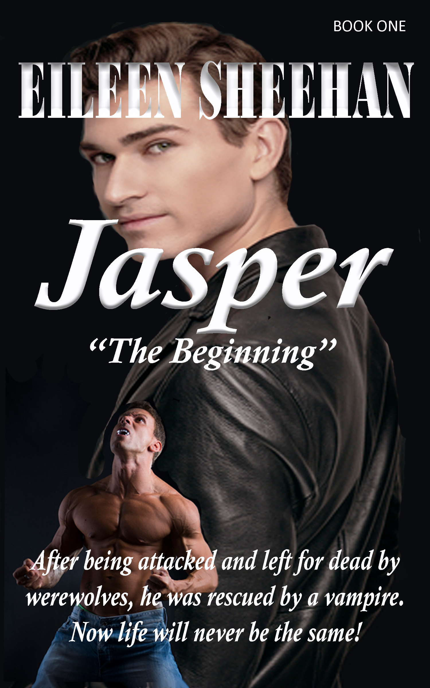 Jasper; The Beginning by Eileen Sheehan | Goodreads
