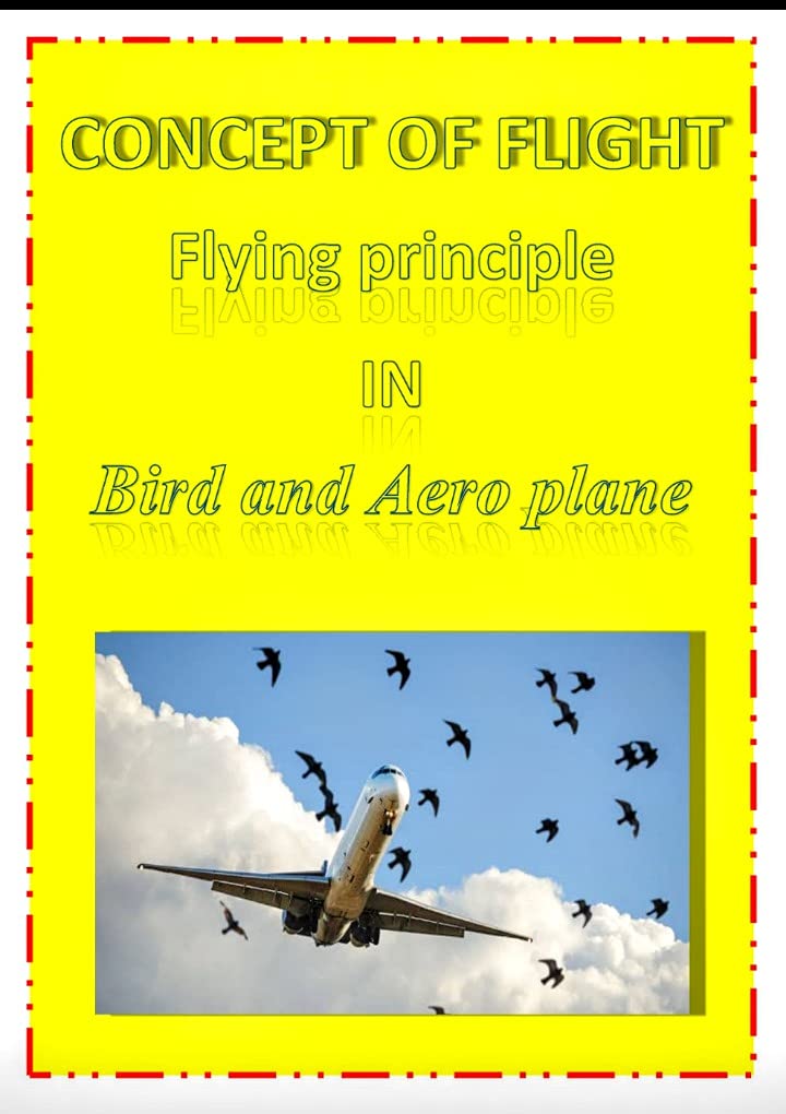 Flight: Concept of flying principle in Bird and Aero plane by Abere ...