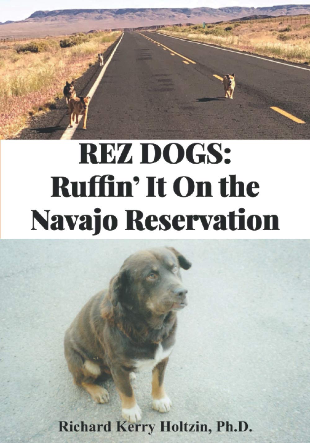 Rez Dogs: Ruffin' It on the Navajo Reservation by Richard Kerry Holtzin ...