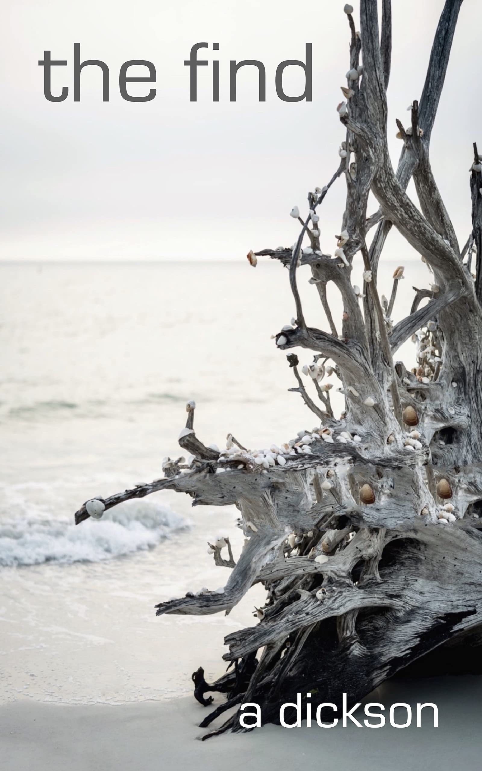 The Find by Alan Dickson | Goodreads