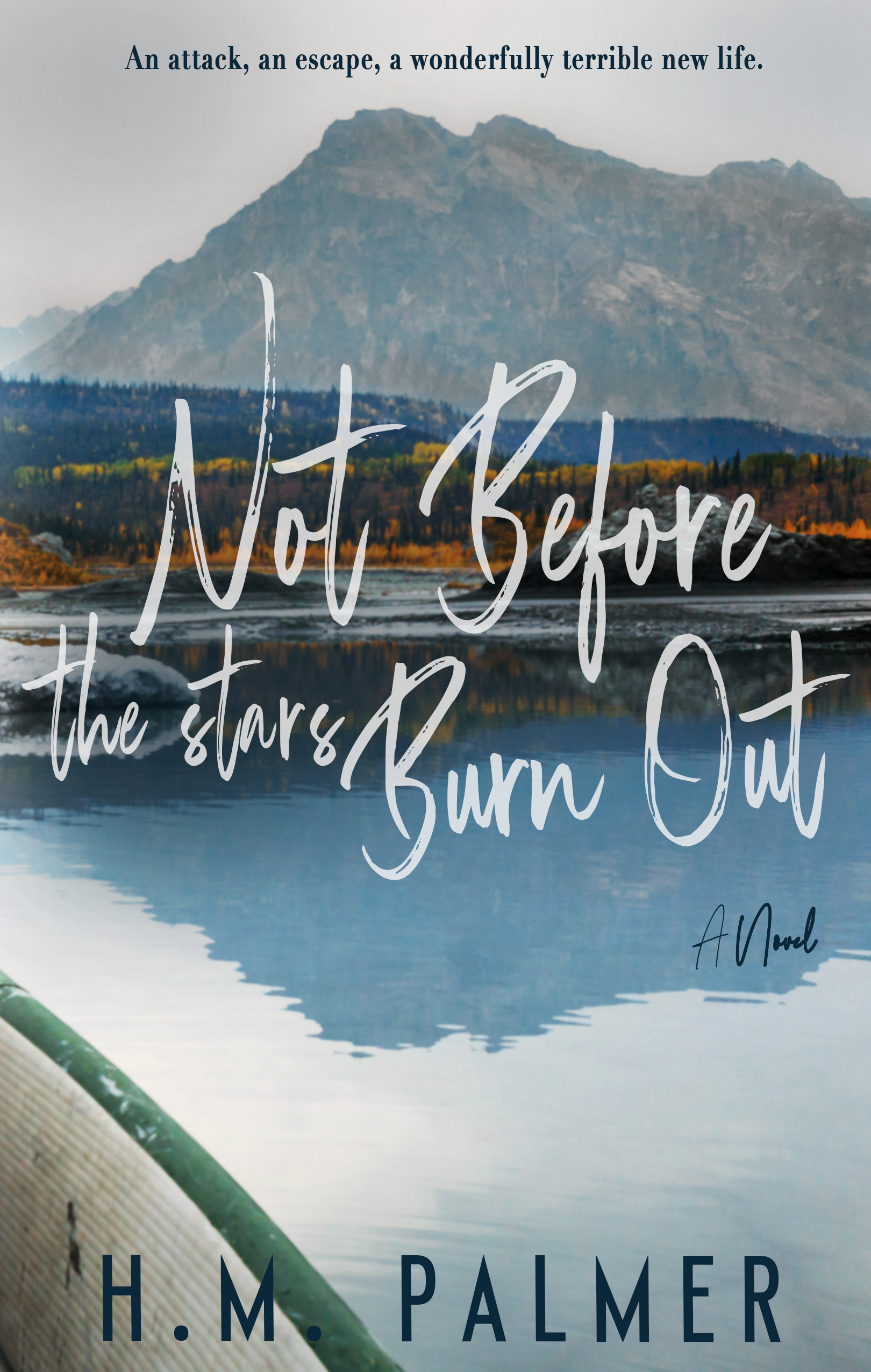 Not Before The Stars Burn Out by H.M. Palmer | Goodreads