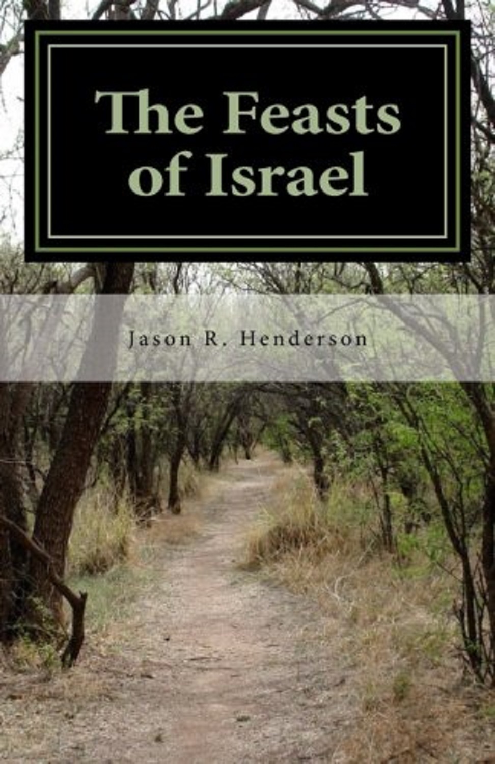 The Feasts of Israel: Israel's Journey in Christ Towards God's Ultimate ...