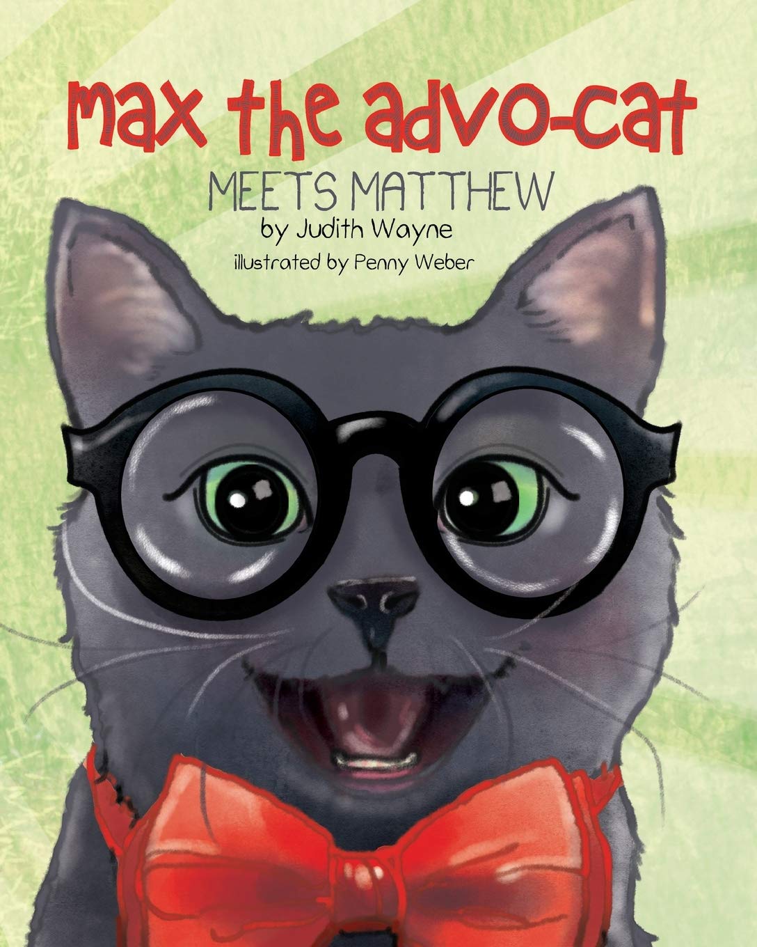 Max the Advo-cat: Meets Matthew by Judith Wayne | Goodreads