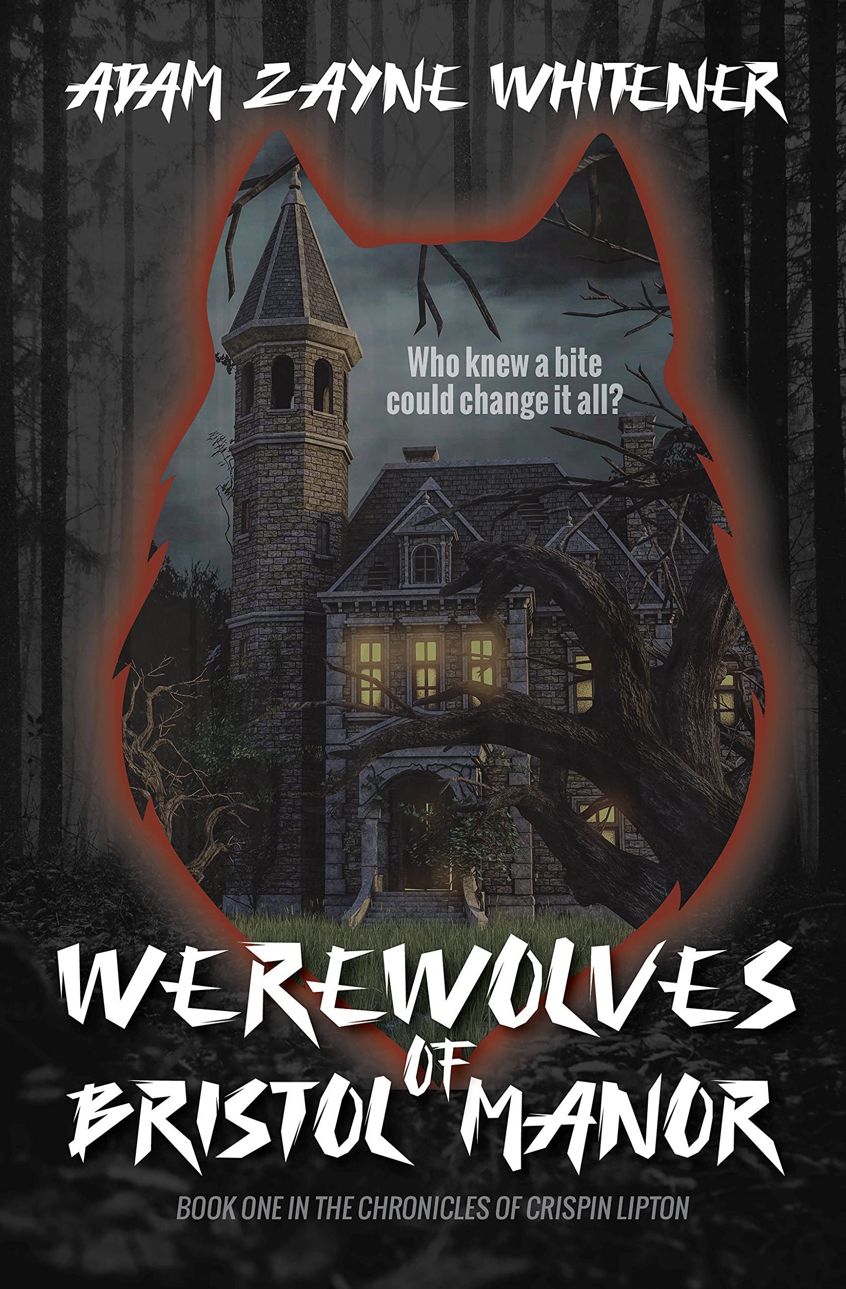 Werewolves of Bristol Manor: A YA LGBT Contemporary Urban Fantasy Novel ...