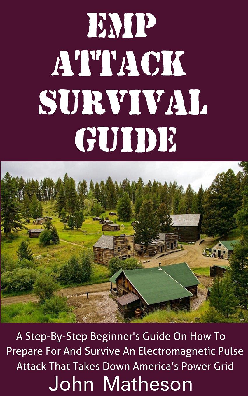 EMP Attack Survival Guide : A Step-By-Step Beginner's Guide On How To Prepare For And Survive An ...