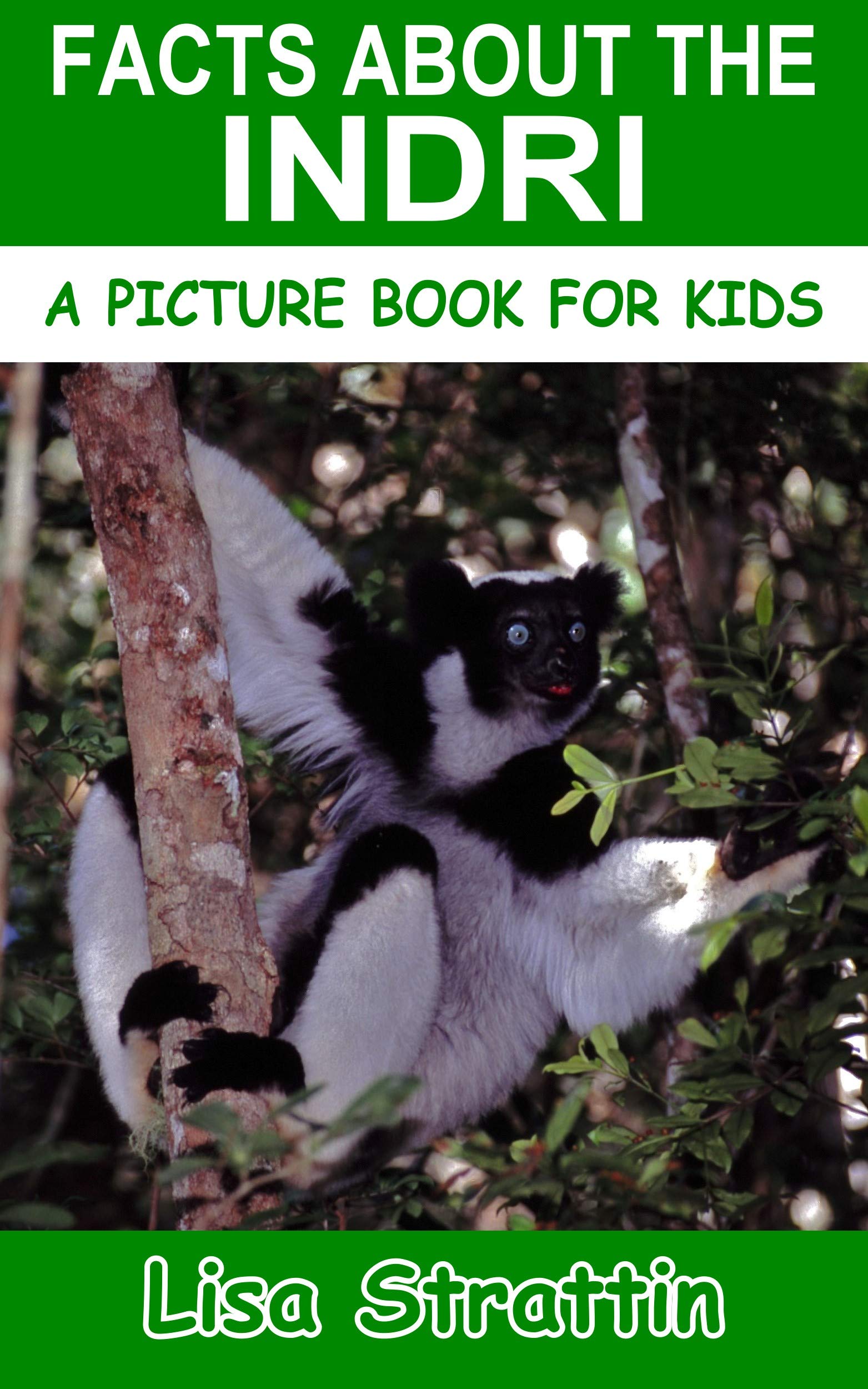 Facts About the Indri (A Picture Book For Kids 324) by Lisa Strattin ...