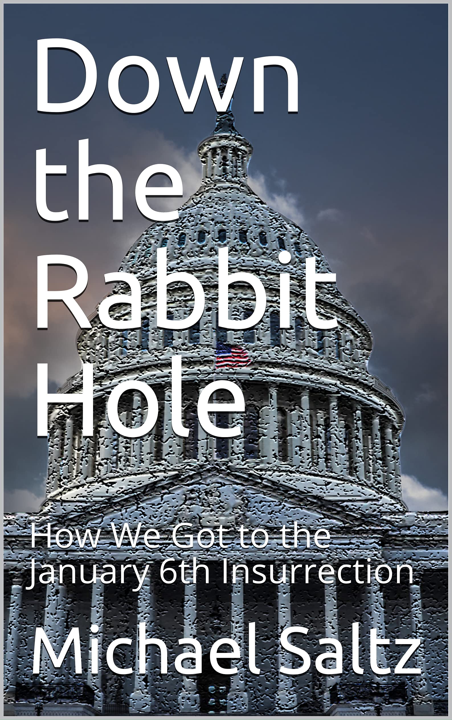 Down the Rabbit Hole: How We Got to the January 6th Insurrection by Michael Saltz | Goodreads
