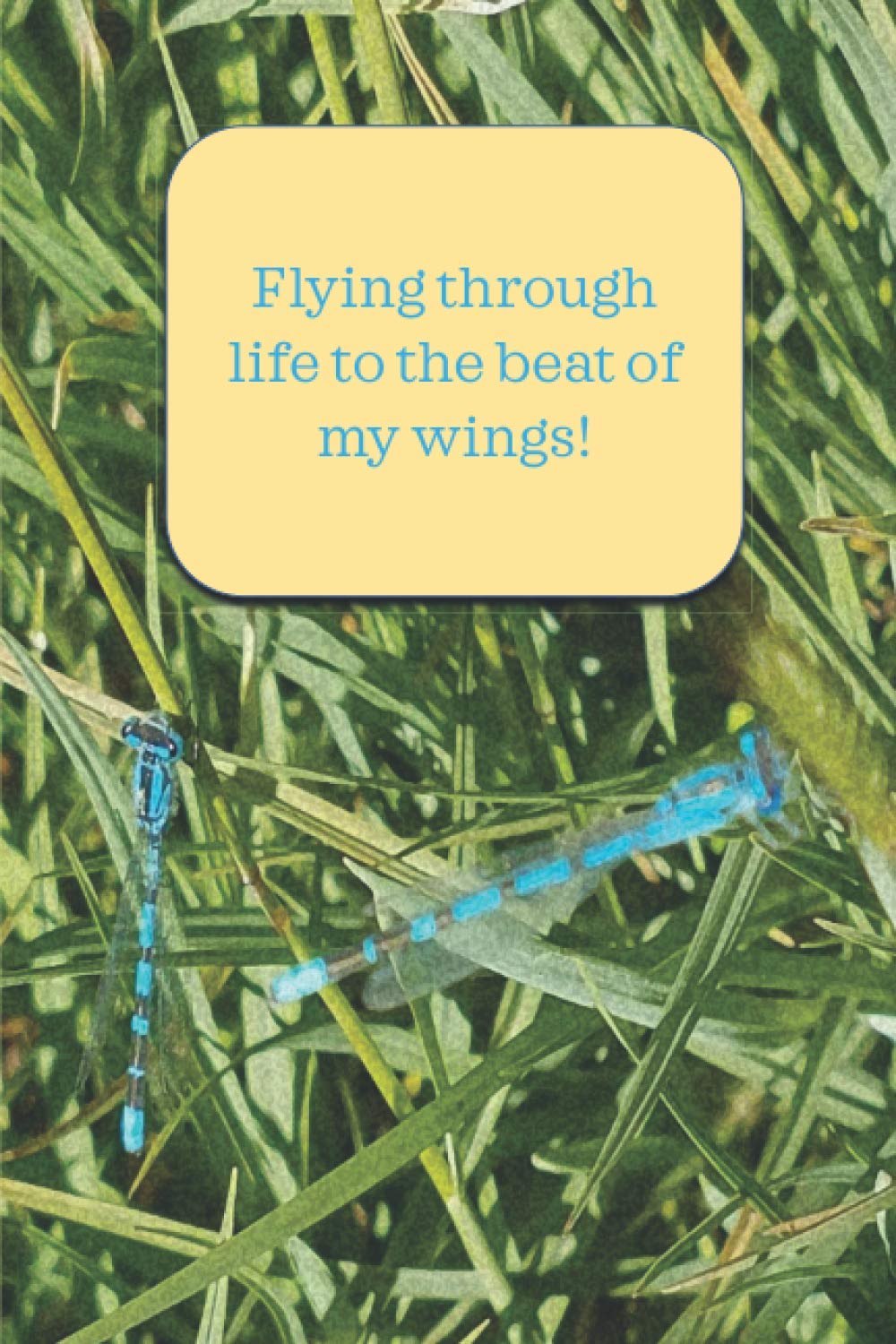 Flying through life to the beat of my wings: Journal/Notebook/Diary by ...