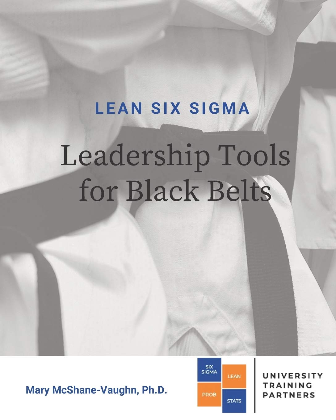 Lean Six Sigma Leadership Tools for Black Belts by Mary McShane-Vaughn ...