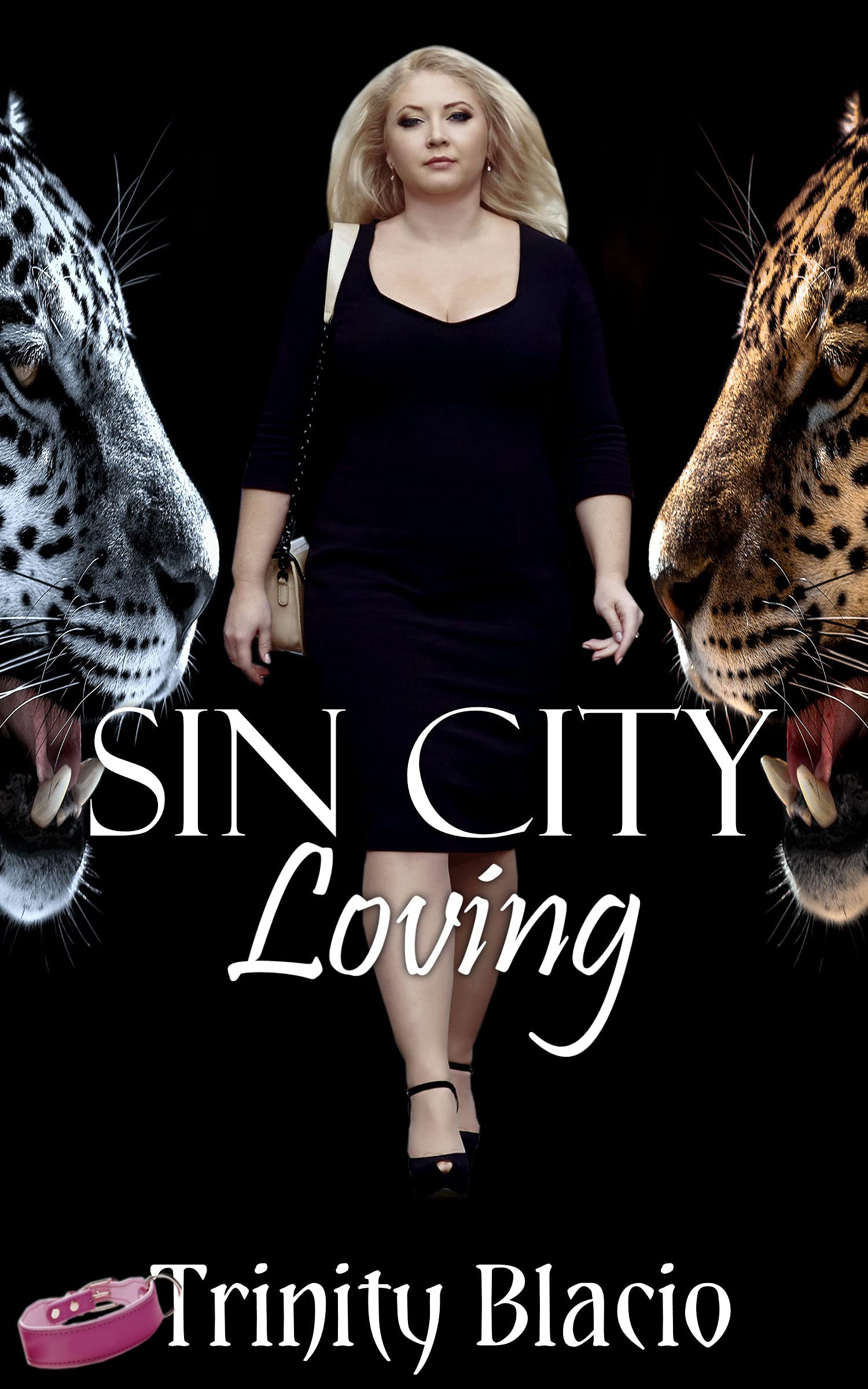 Sin City Loving by Trinity Blacio | Goodreads