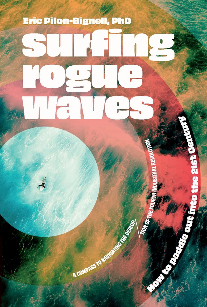 Surfing Rogue Waves: How to paddle out into the 21st Century by Eric ...