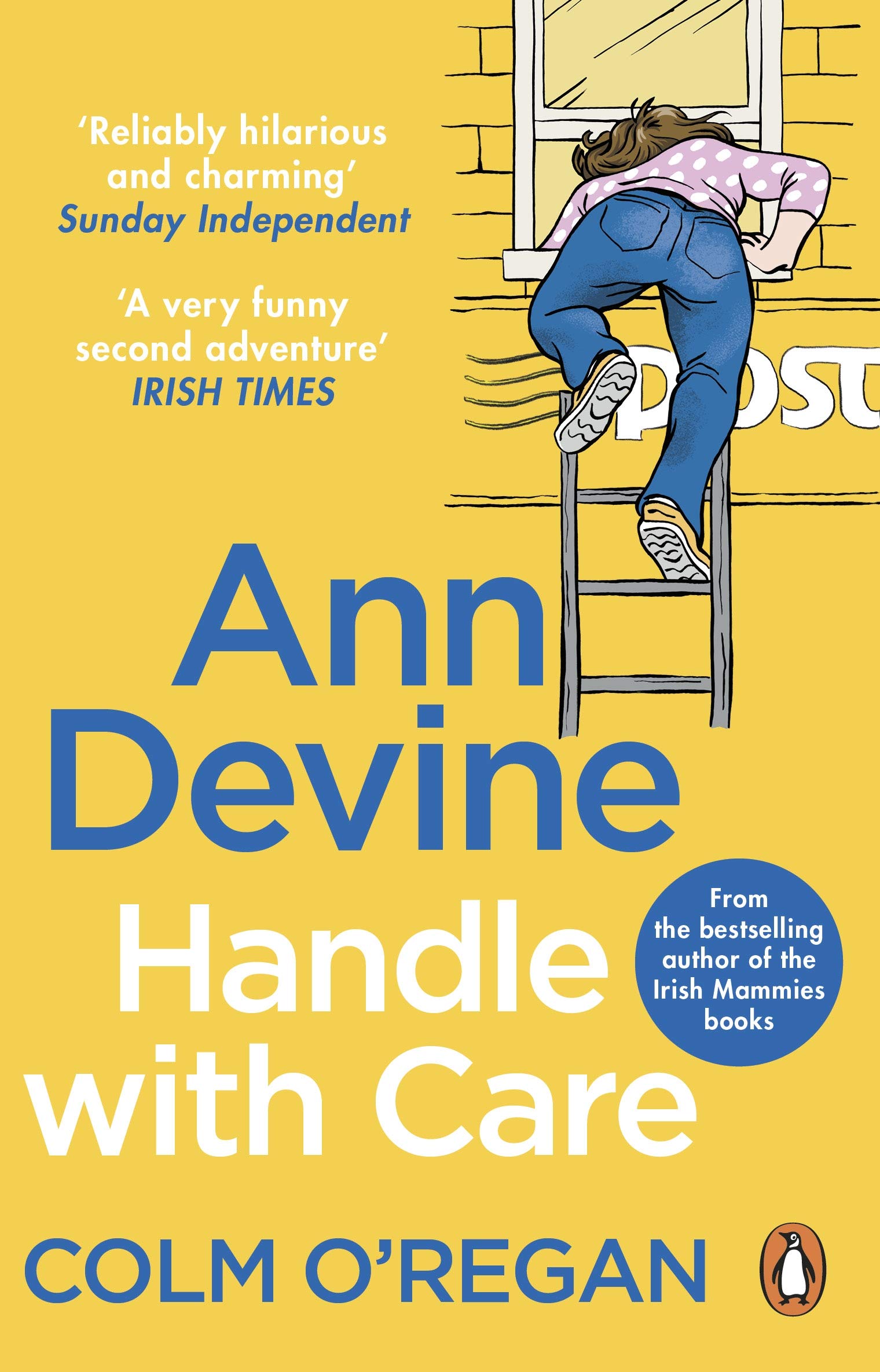 Ann Devine: Handle With Care by Colm O'Regan | Goodreads